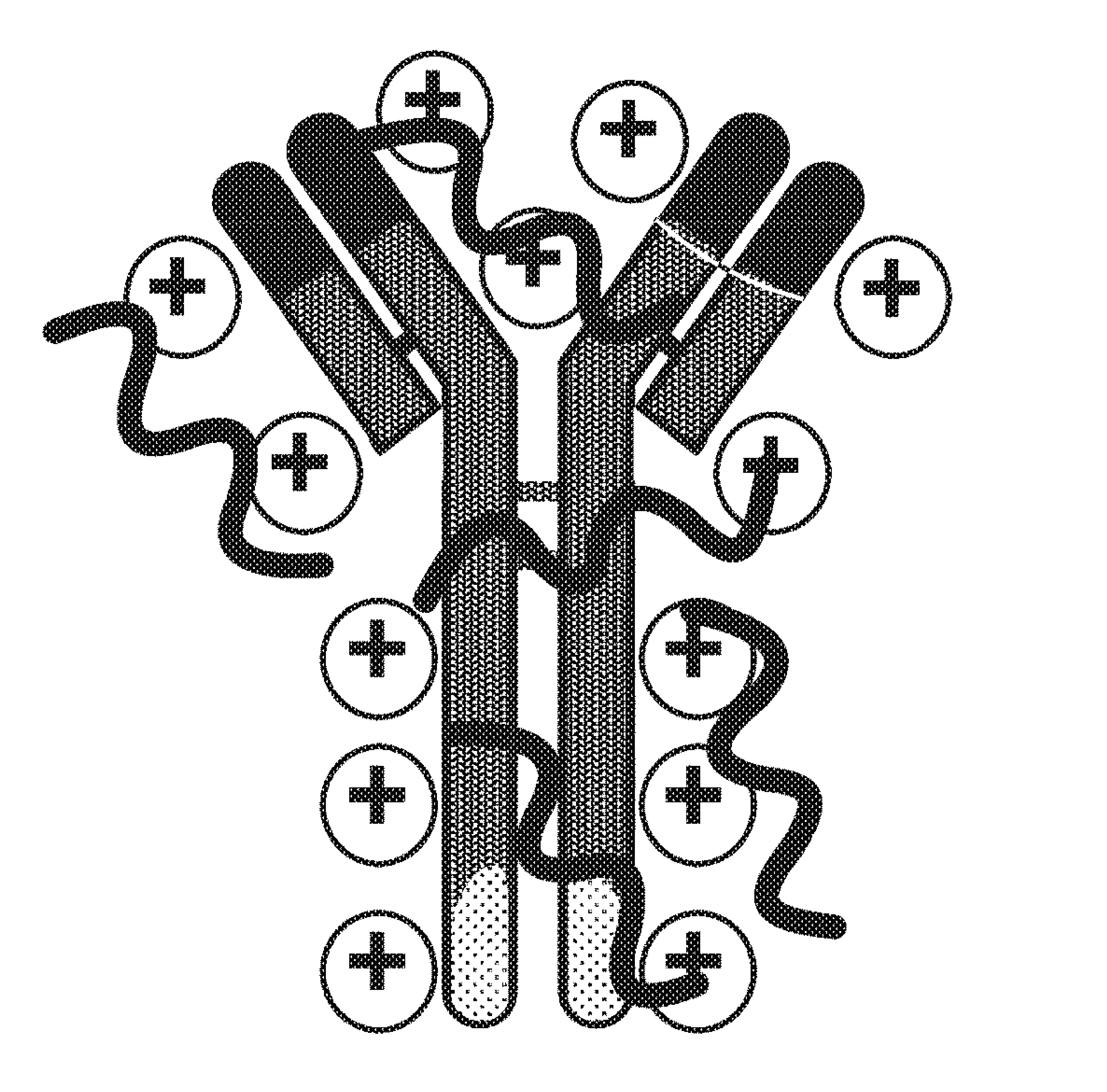 AFRL SCIENTIST’S PATENT MAKES “HEADS” AND “TAILS” OF TRICKY ANTIBODY ...