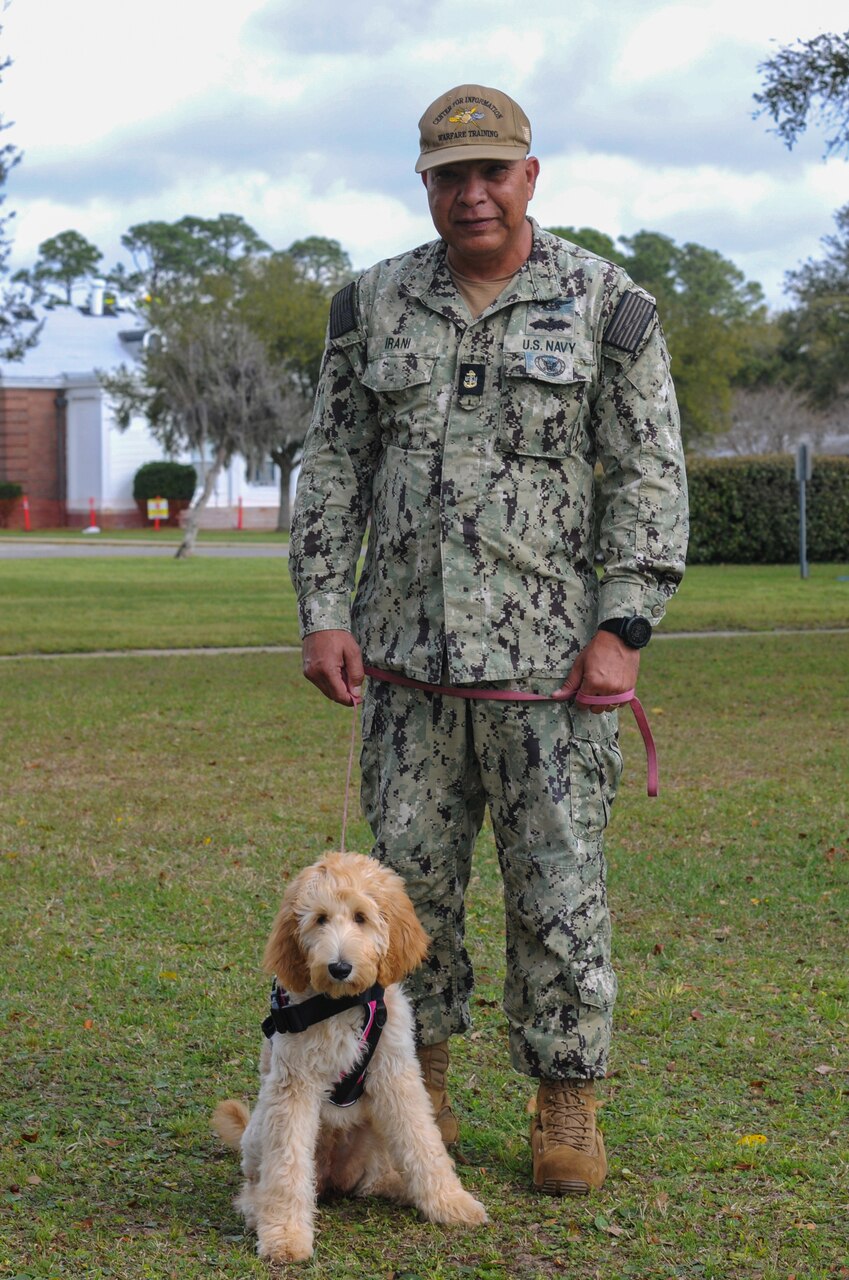 Retiring Navy Chief Receives Service Dog to Help with Stress > Naval ...