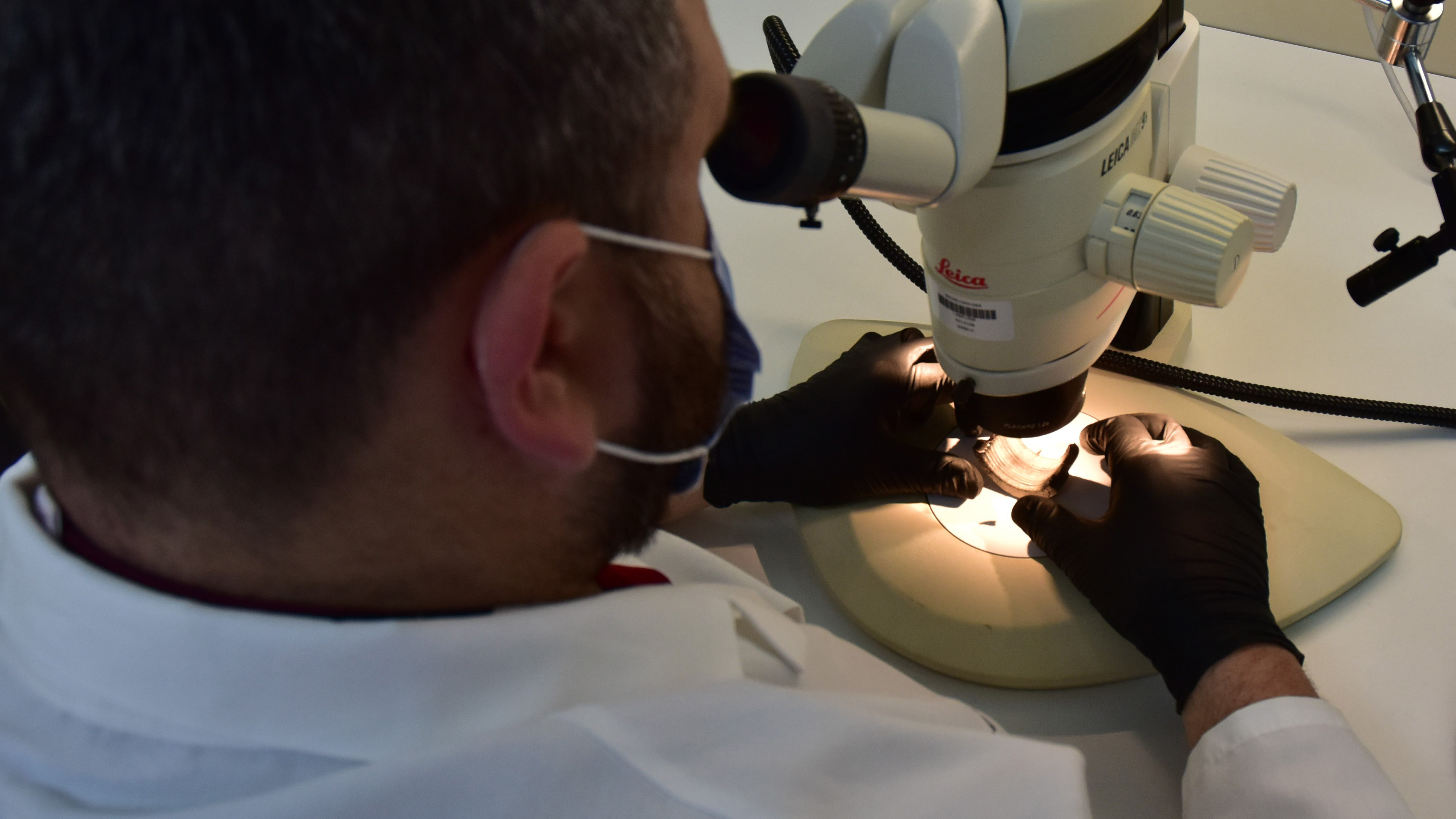 Forensic Scientist examining evidence in the lab using a microscope
