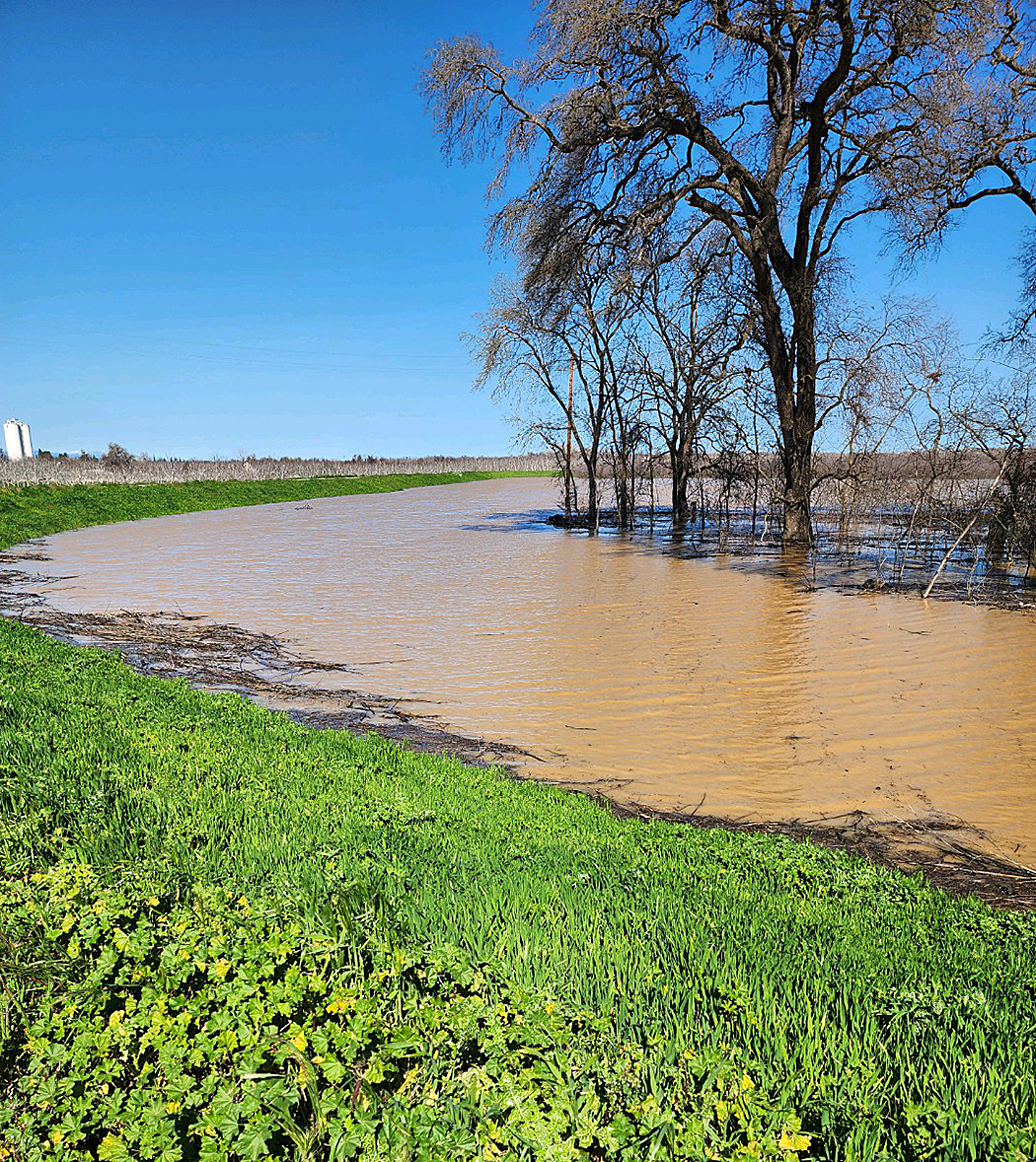 Hamilton City’s new levee stands up to major storms of 2023 ...