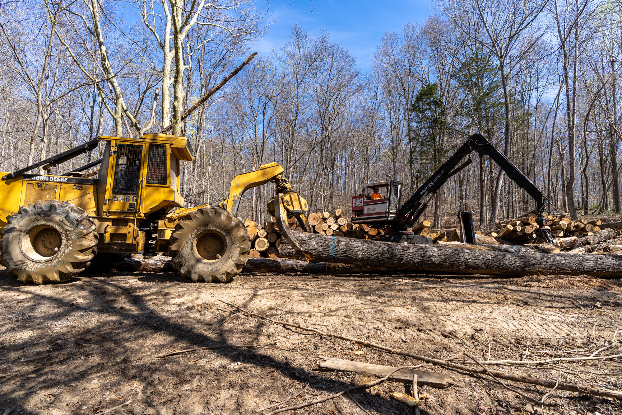 bulldozing trees