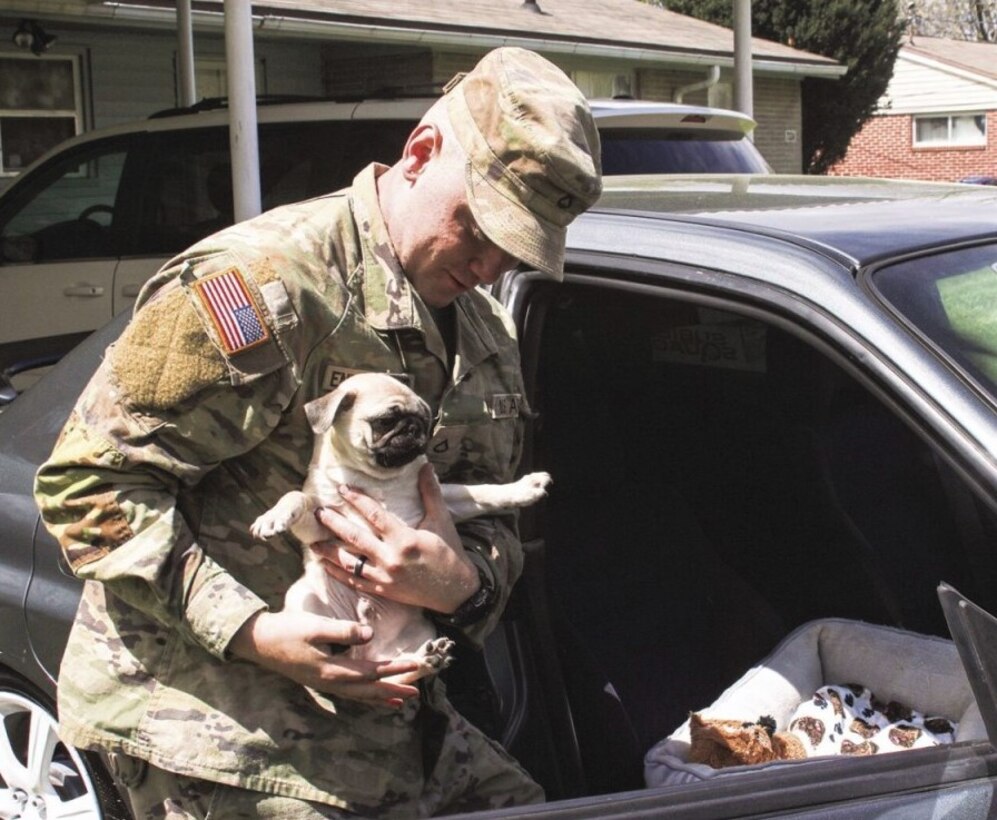 Big changes coming to improve PCS process: Pet reimbursements will rise ...