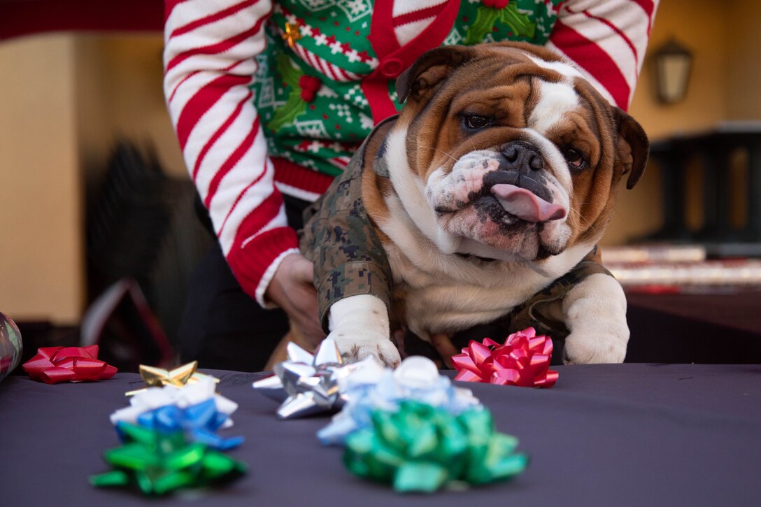 Holiday Express 2023