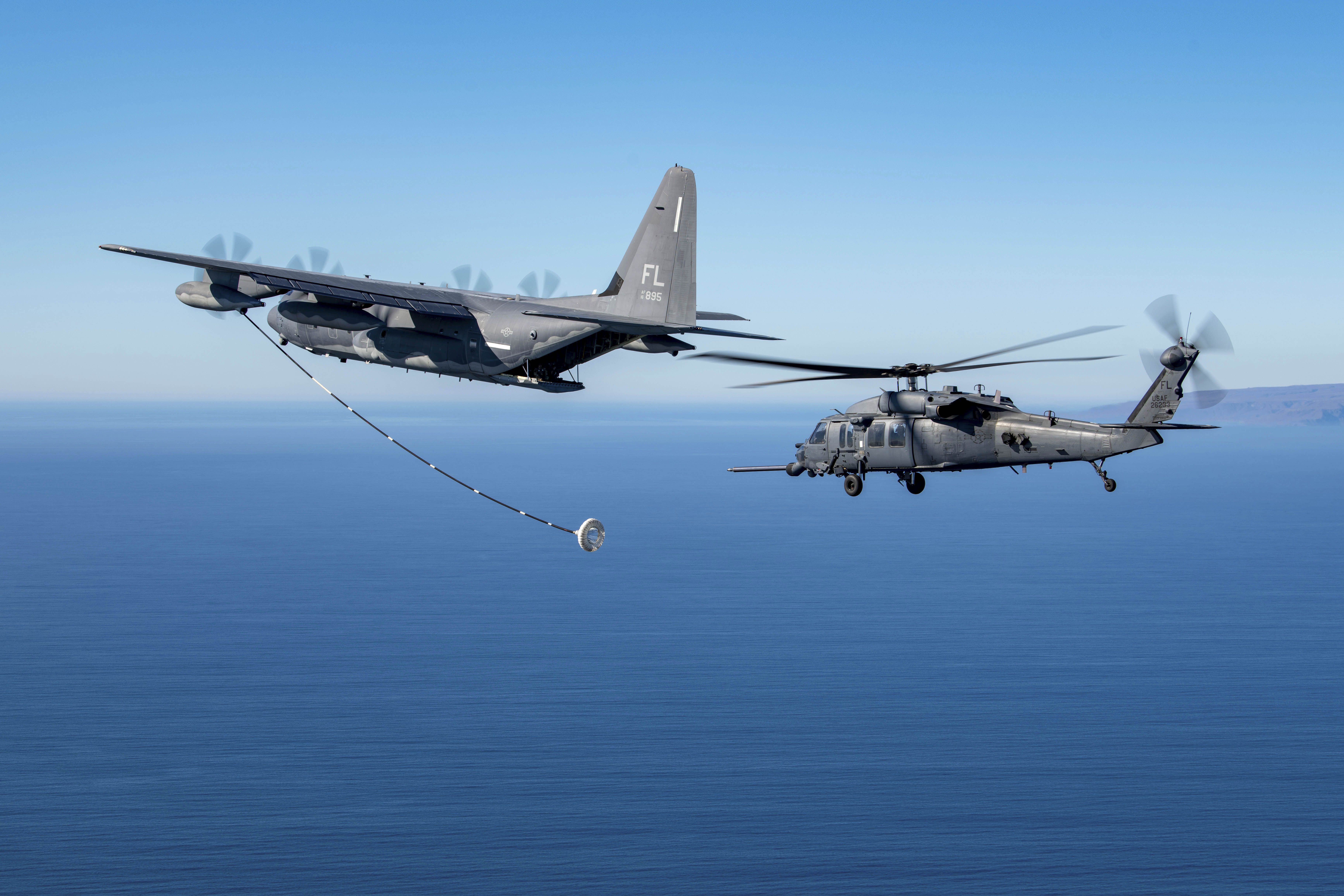 Distant Fury Stallion | U.S. Department of War