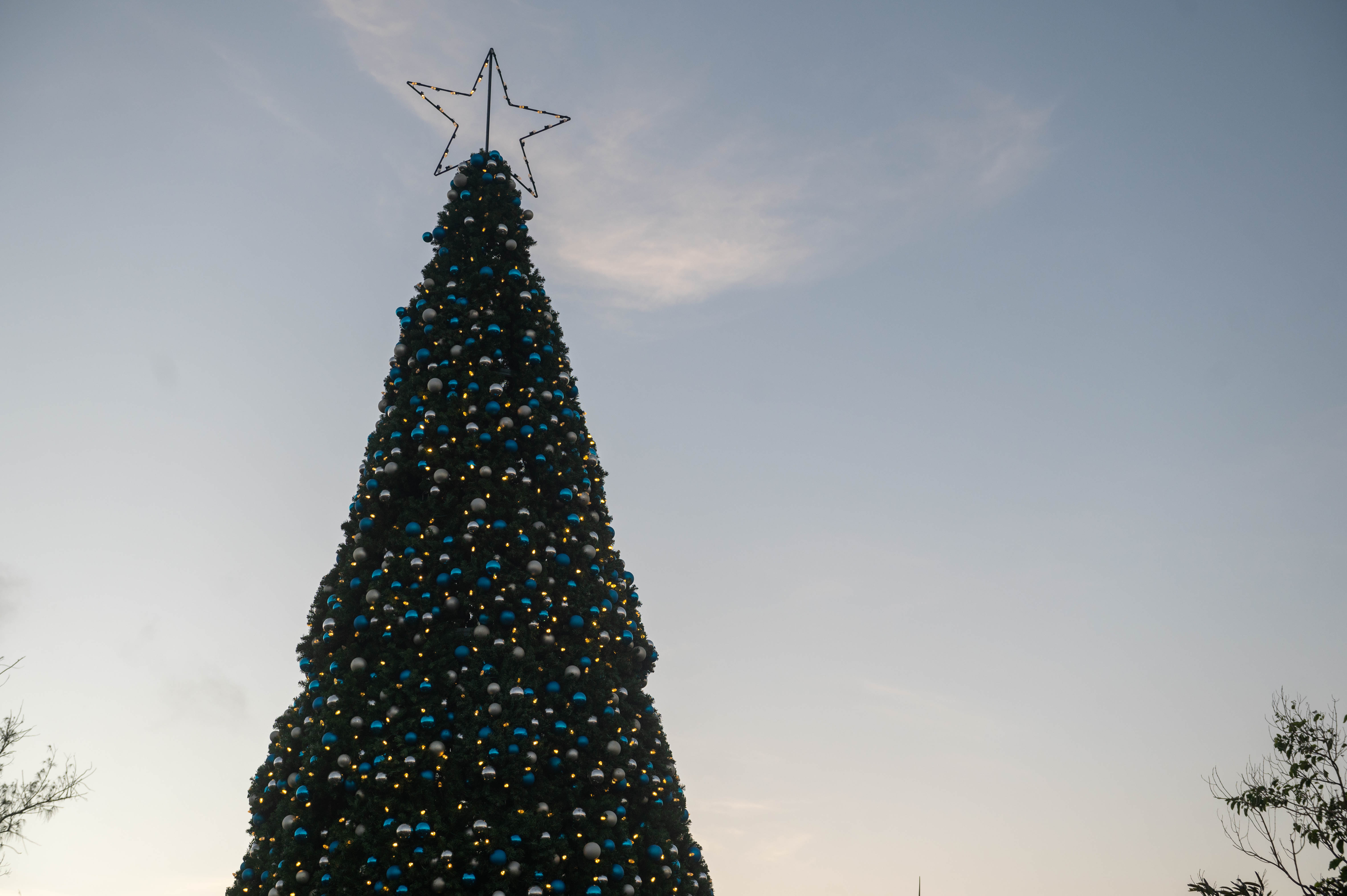 Andersen's Tree Lighting Ceremony > Andersen Air Force Base > Features