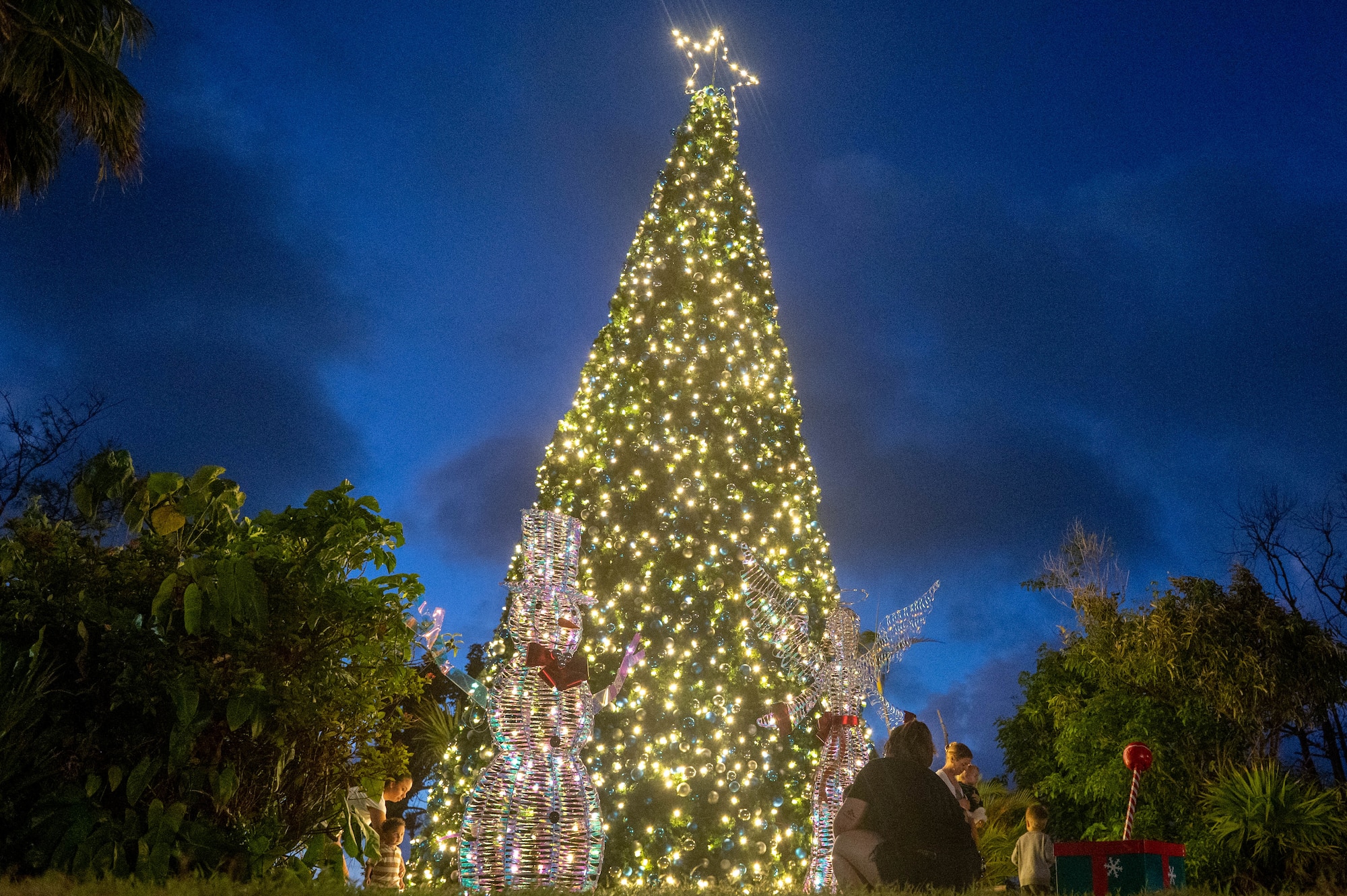 Andersen's Tree Lighting Ceremony > Andersen Air Force Base > Features