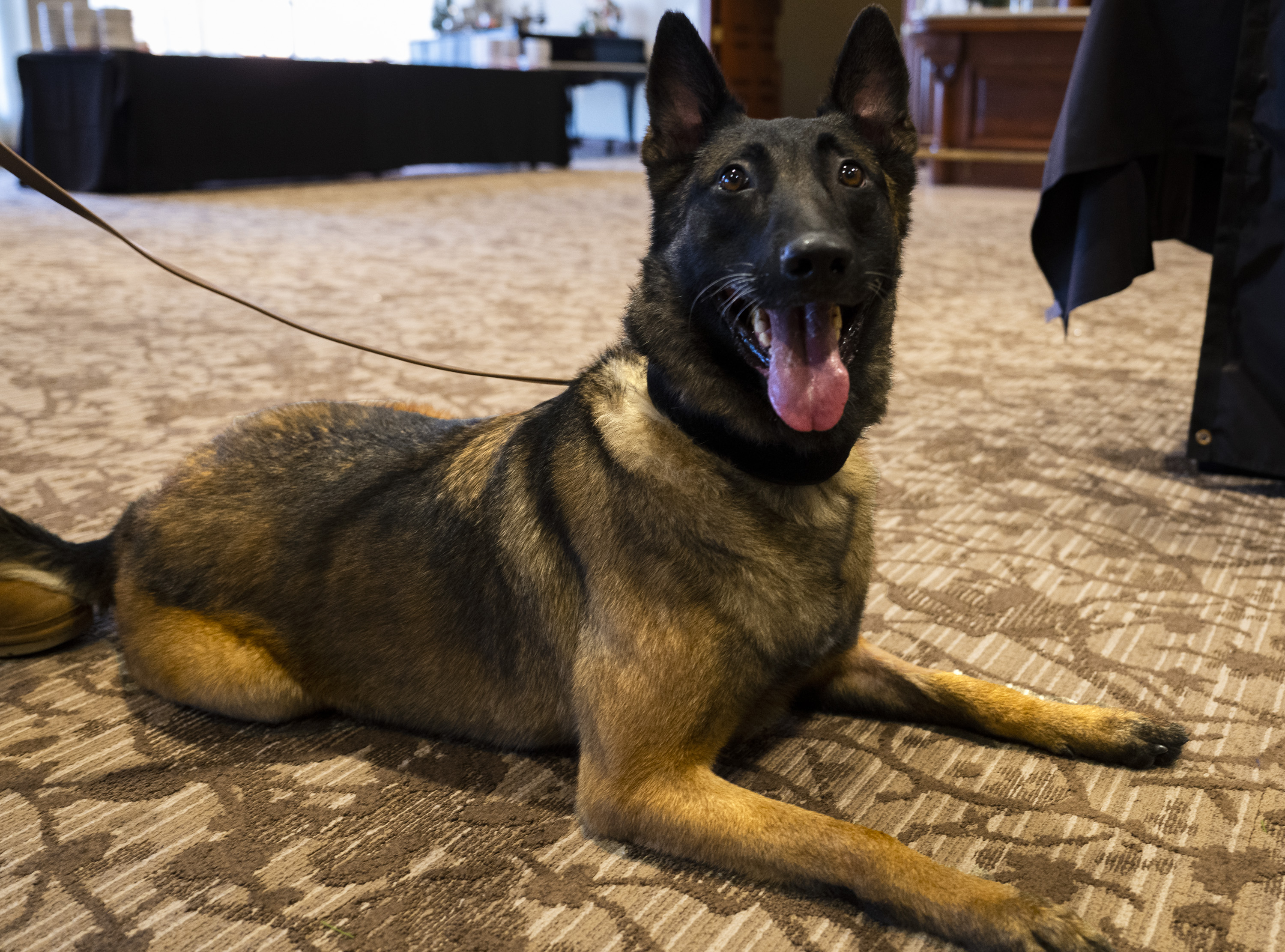 Retiring K9 Defender is a ‘Good Boy’ > Air Force Life Cycle Management ...