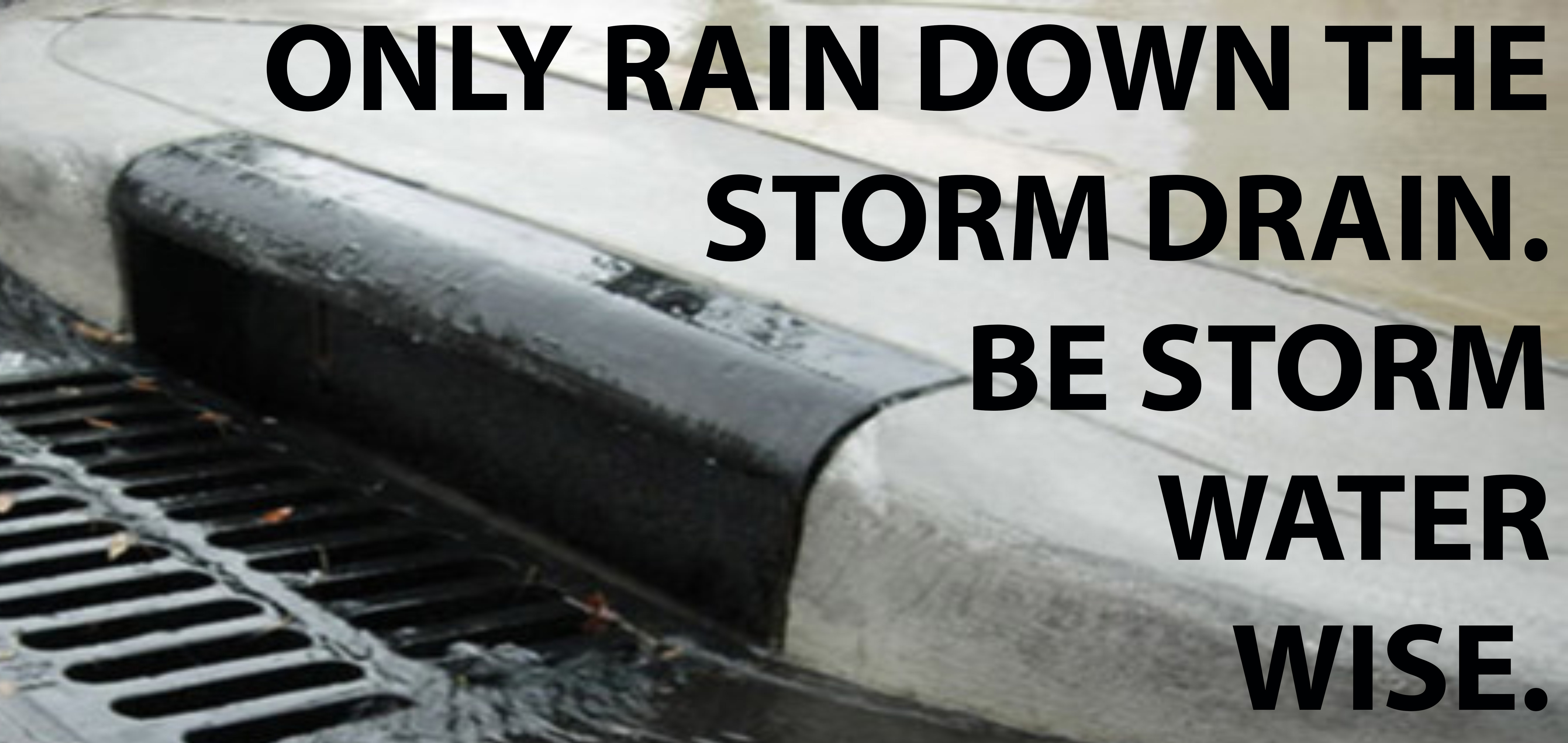 Make sure only rain goes down the storm drain