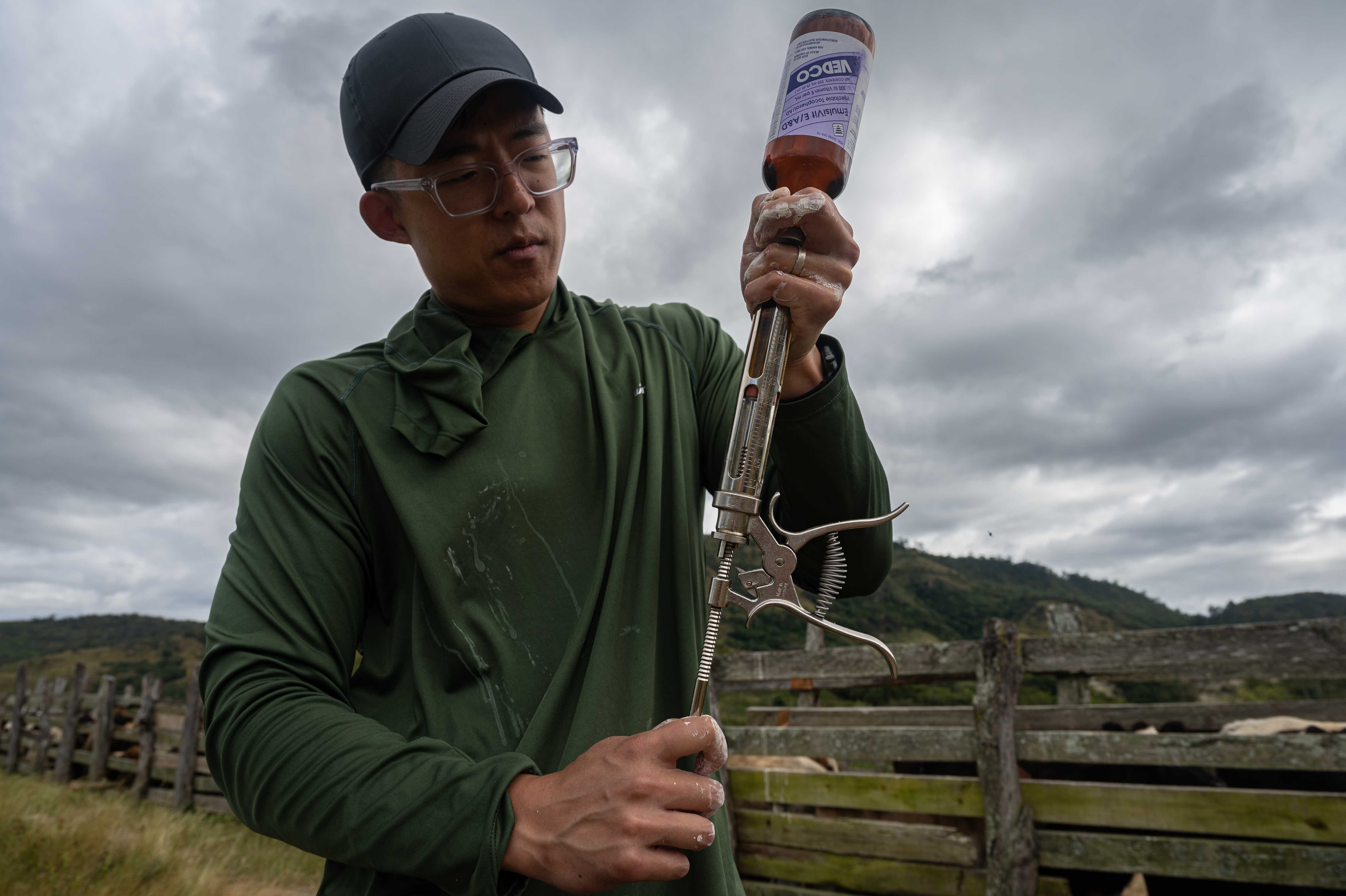 JTF-Bravo vets inoculate, deworm cattle in Humuya