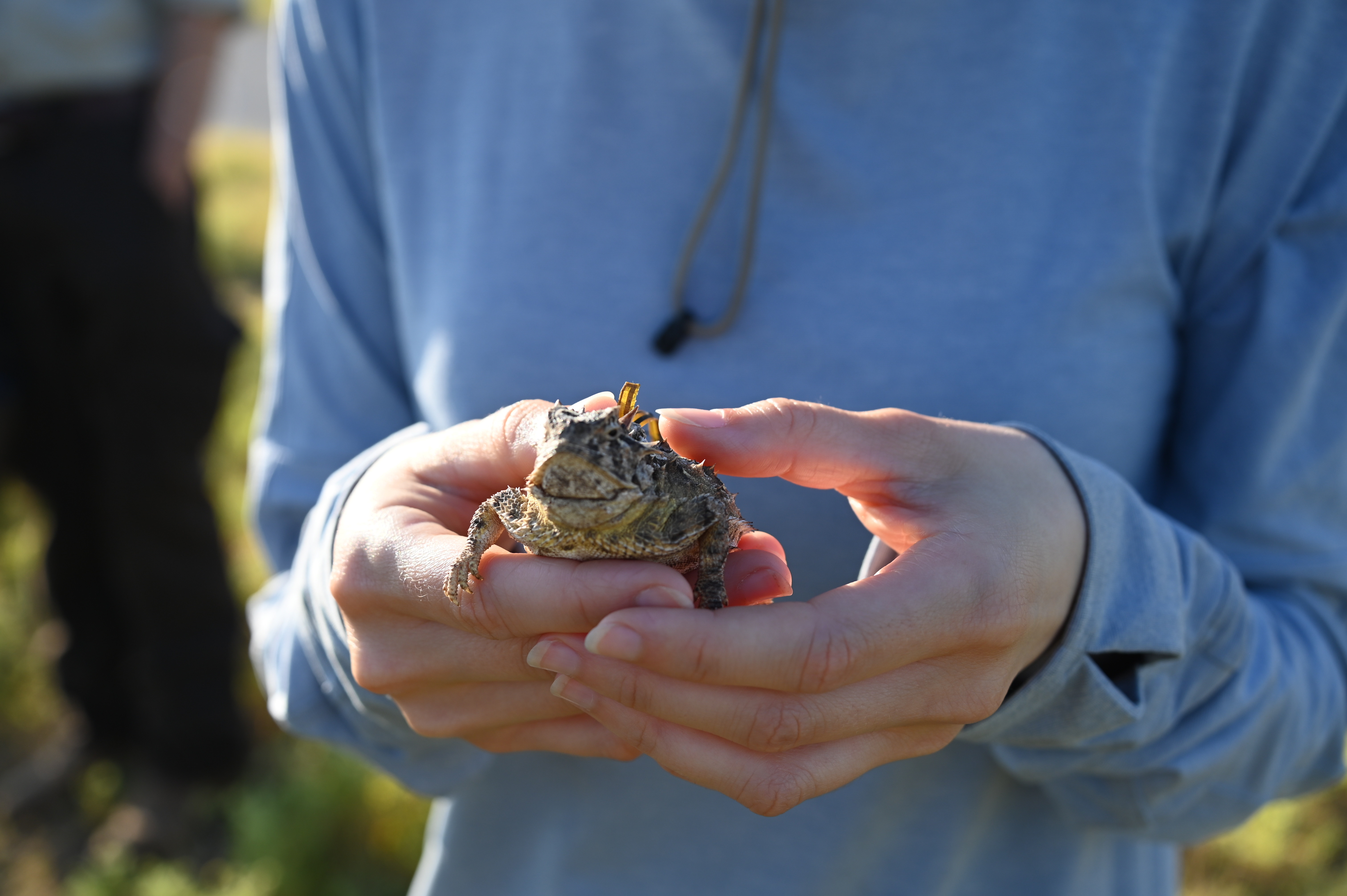 Sustainable solutions: 97th CES Environmental Element keeps ...