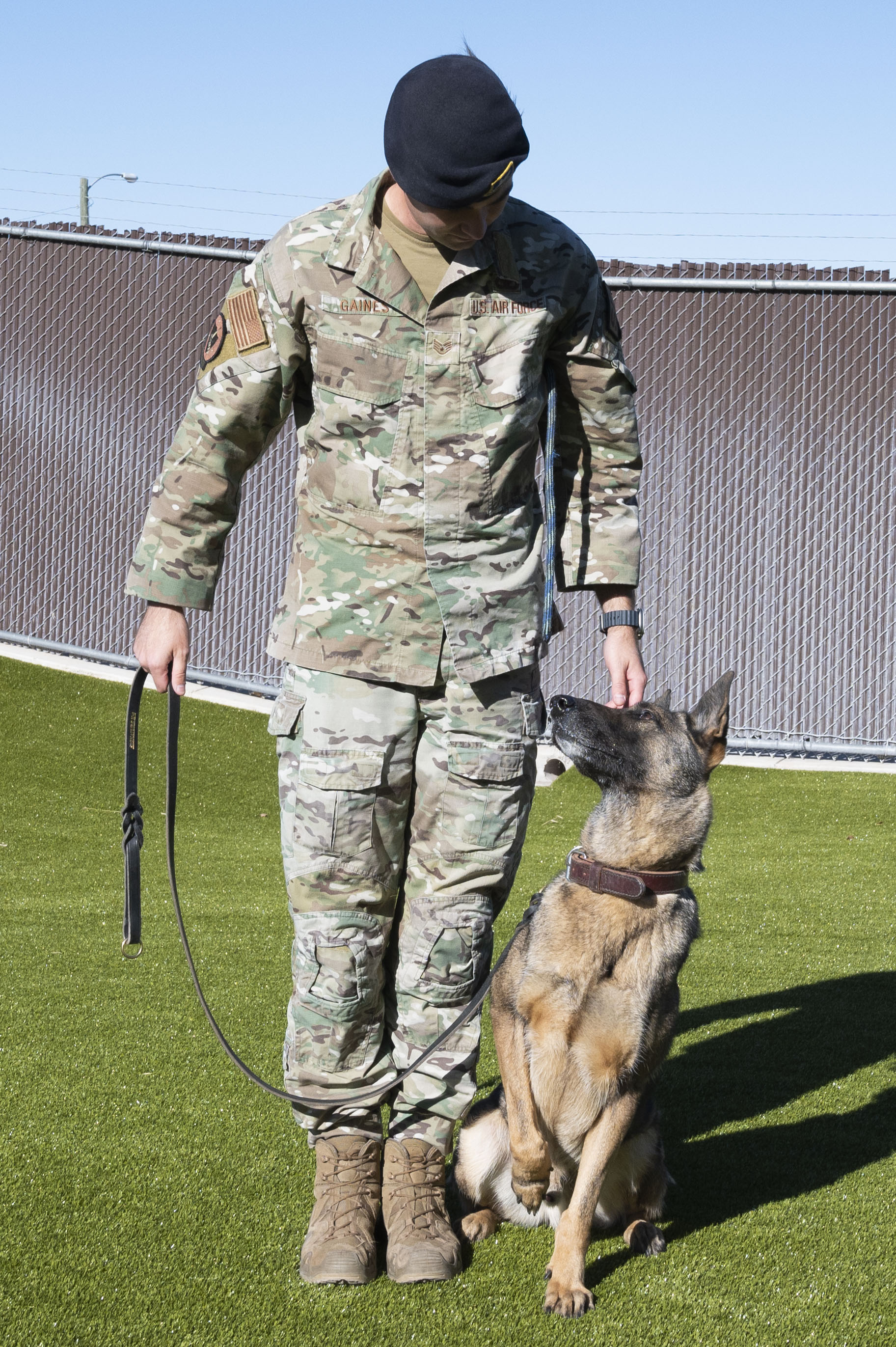 Working with our Air Force’s Four-Legged Defenders > Air Force Security ...