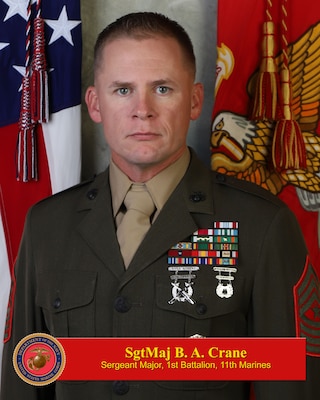 1st Battalion, 11th Marines