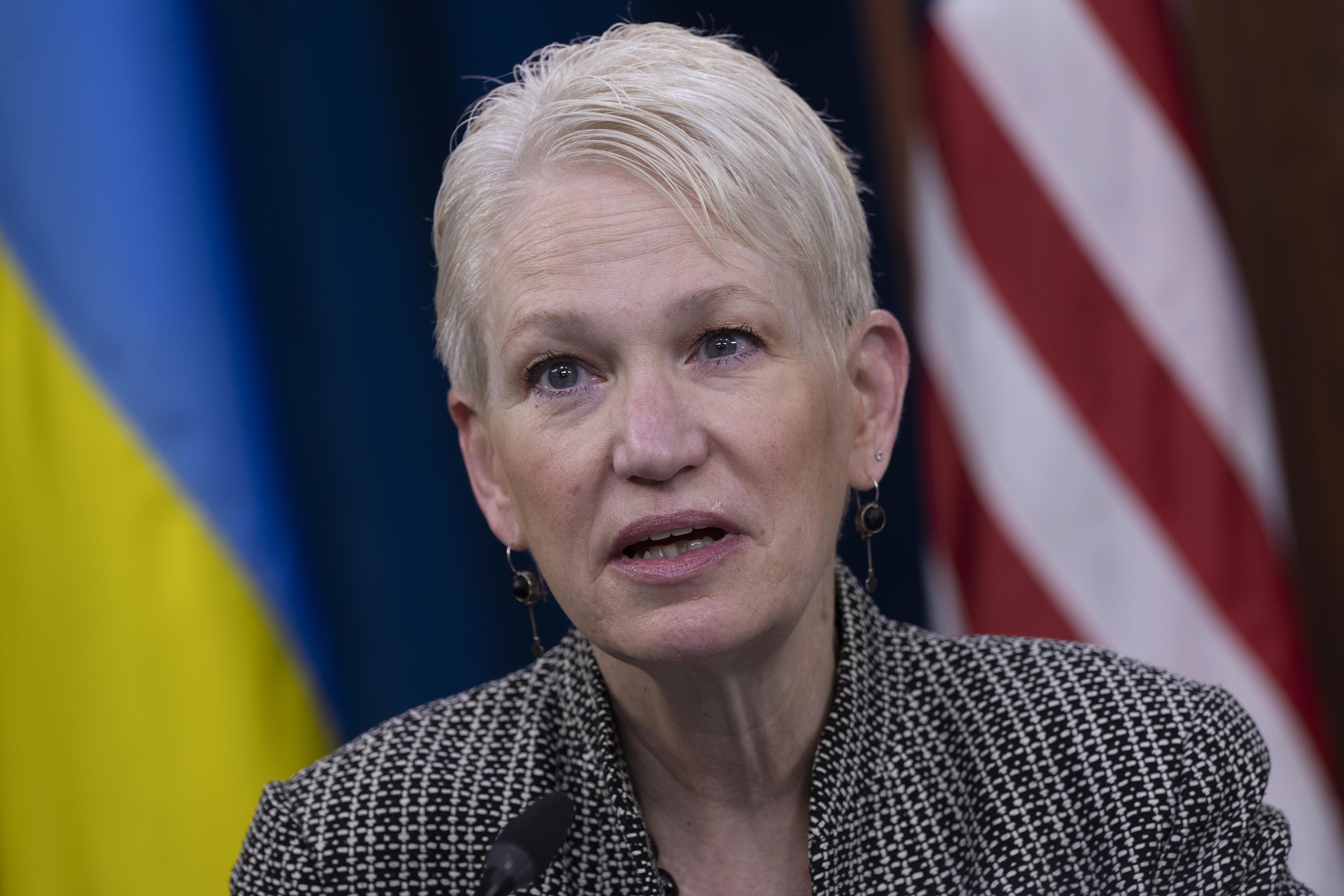 Defense Official Says Allies Partners Are Key To Defense U S