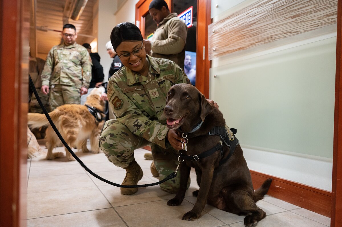 Taking a "paws" for resiliency > Air Force Mortuary Affairs Operations > Article Display