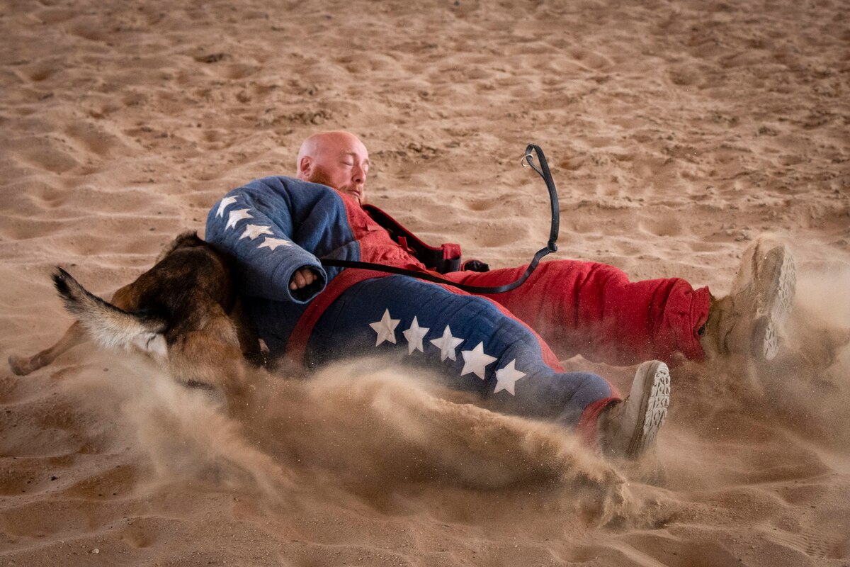 MWD bite demo: Canadian partners see capability > U.S. Air Forces ...