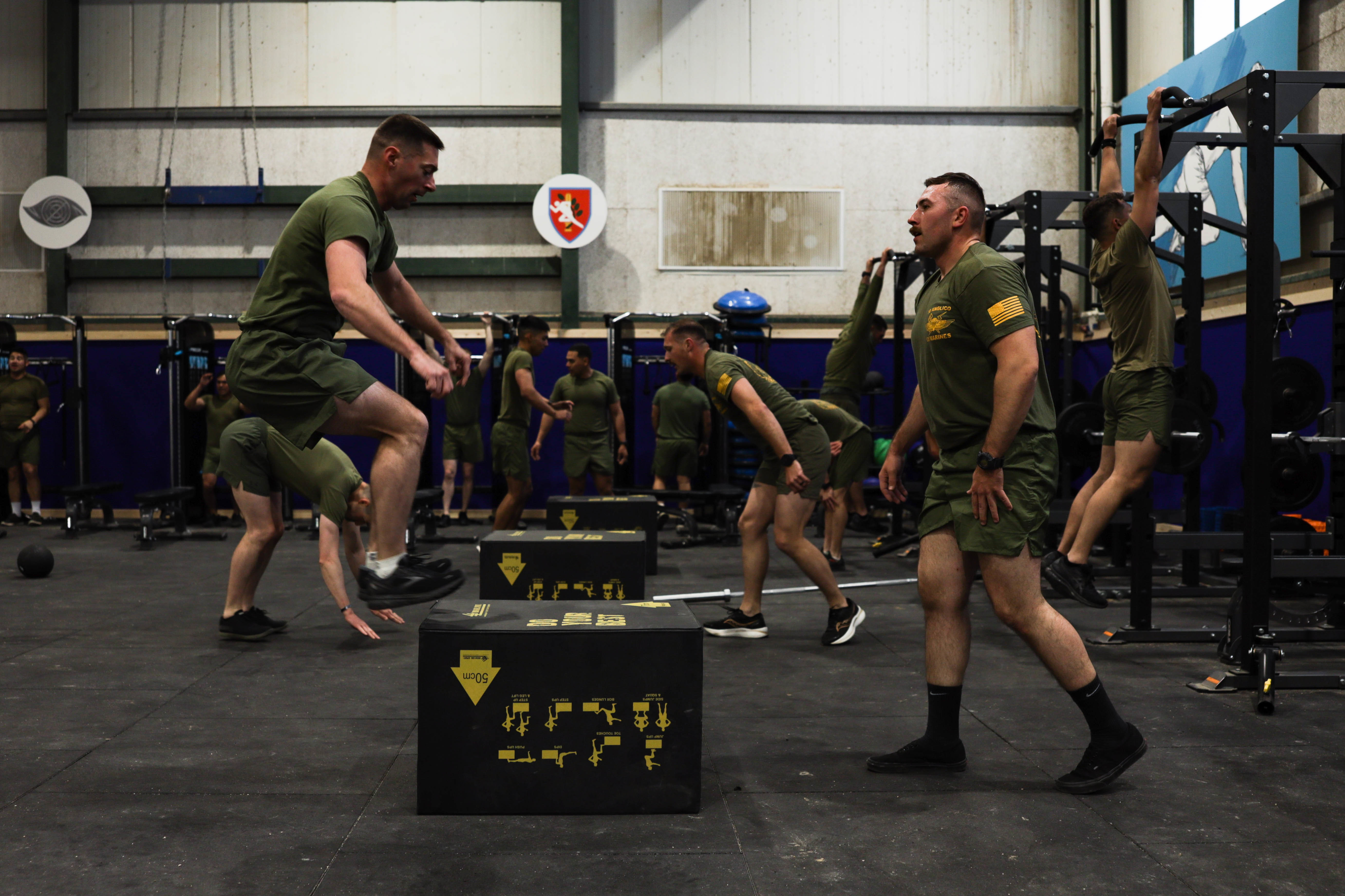 3rd ANGLCO Marines conduct PT with IDF during Intrepid Maven 23.2