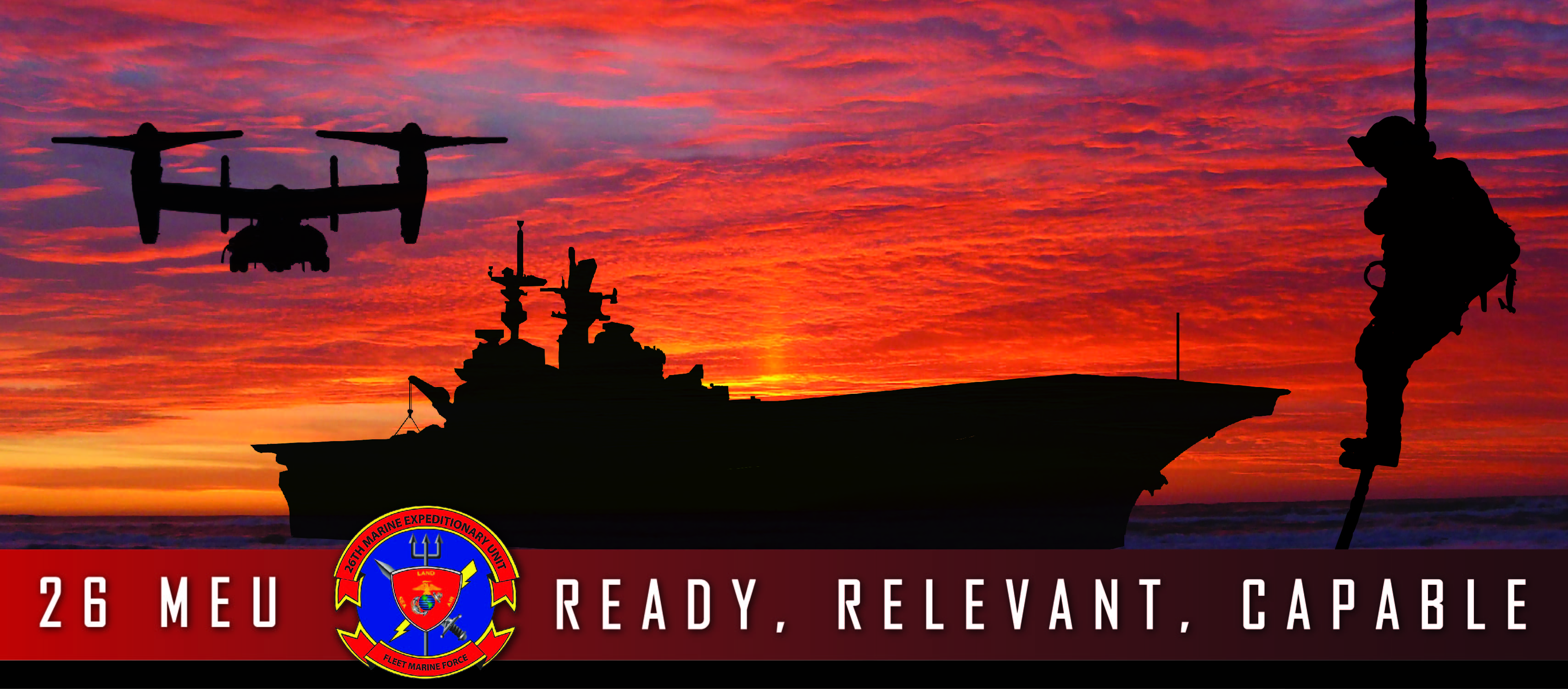 AFPIMS BRANDING BANNER