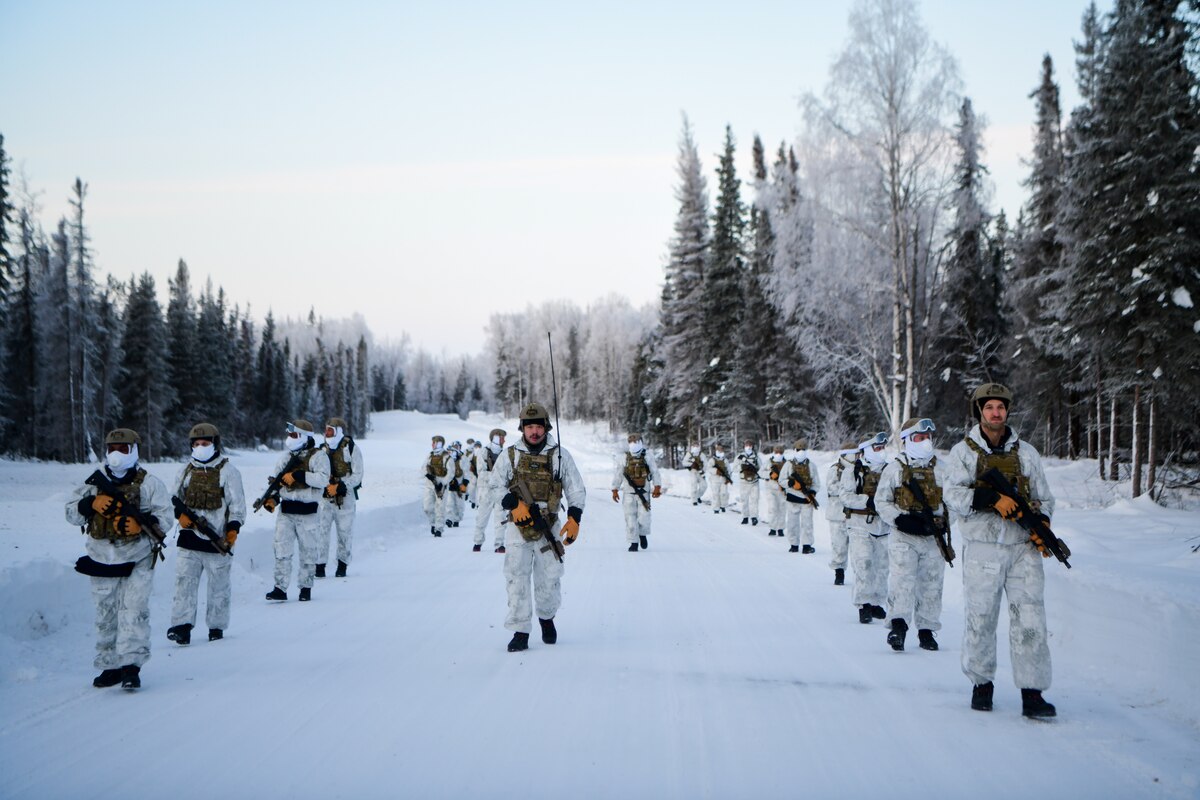 24 SOW D-Cell, pioneers of the ACE concept, hone arctic skills in ...