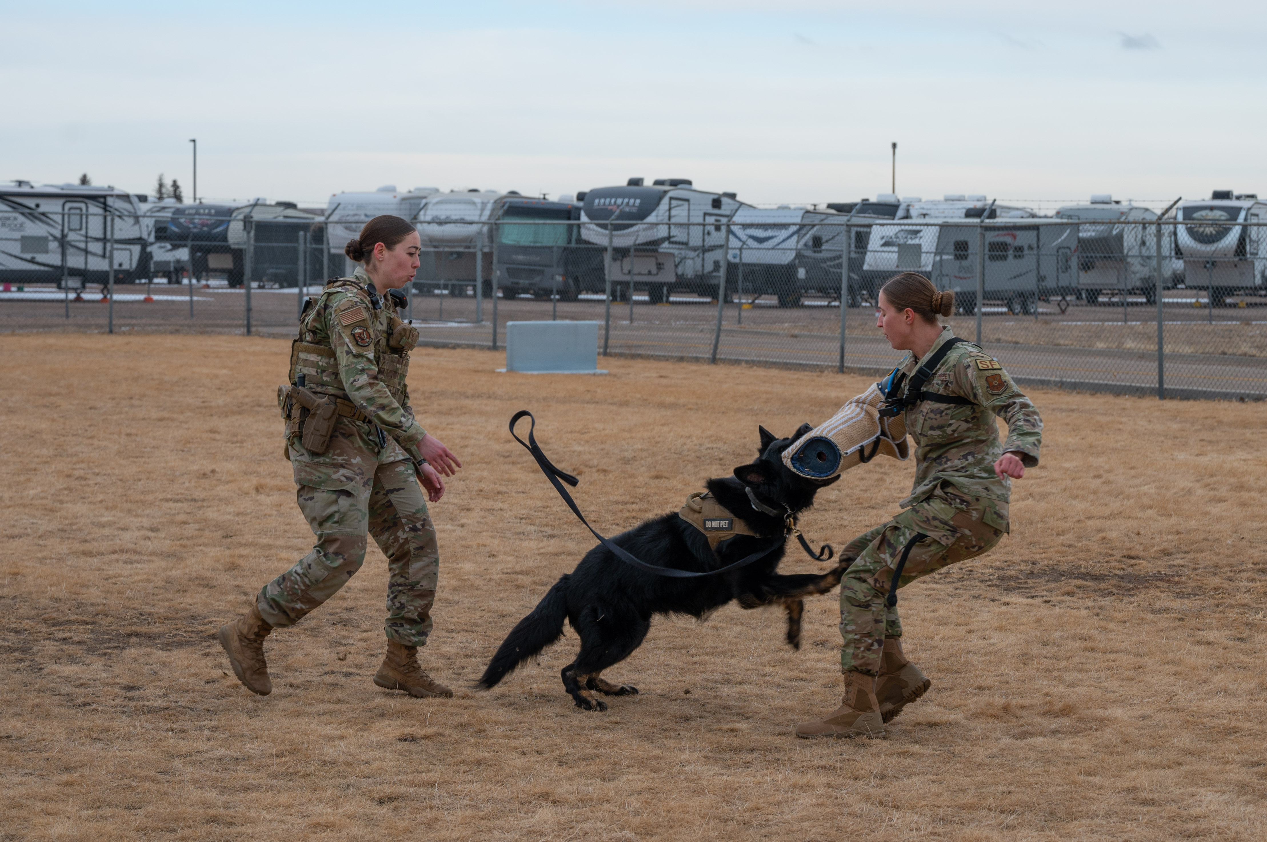 90MW Command Chief catches MWD > F.E. Warren Air Force Base > News