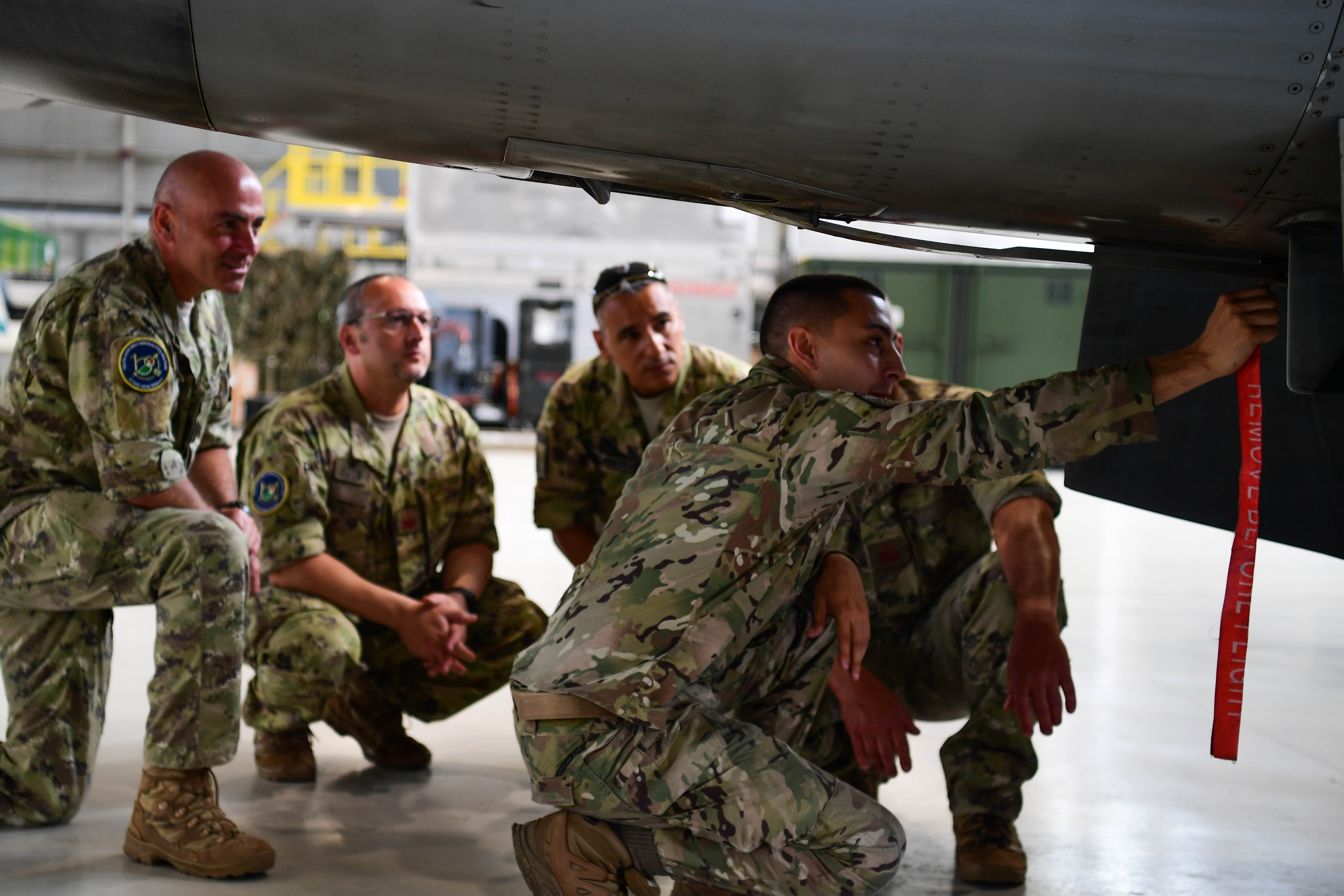 31st FW EOD Joint Training > Aviano Air Base > Display