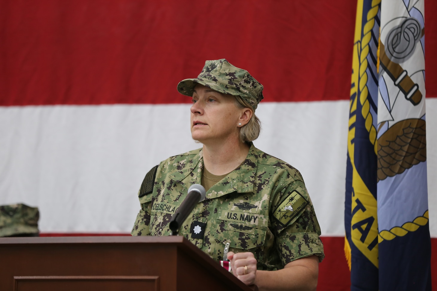 Navy Medicine Readiness and Training Unit Fallon holds change of charge ...