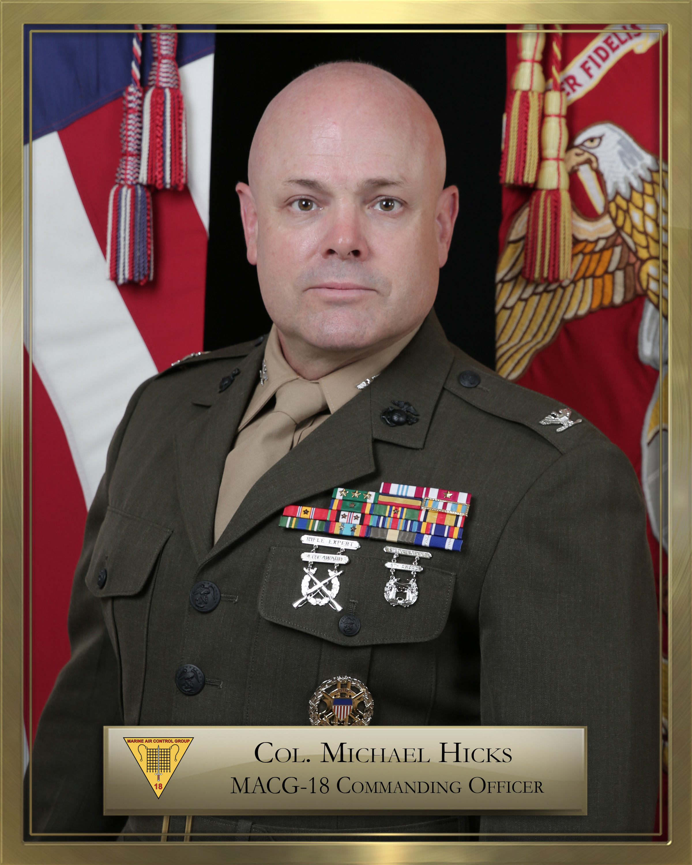 Colonel Michael D. Hicks Marine Air Control Group 18 Commanding Officer