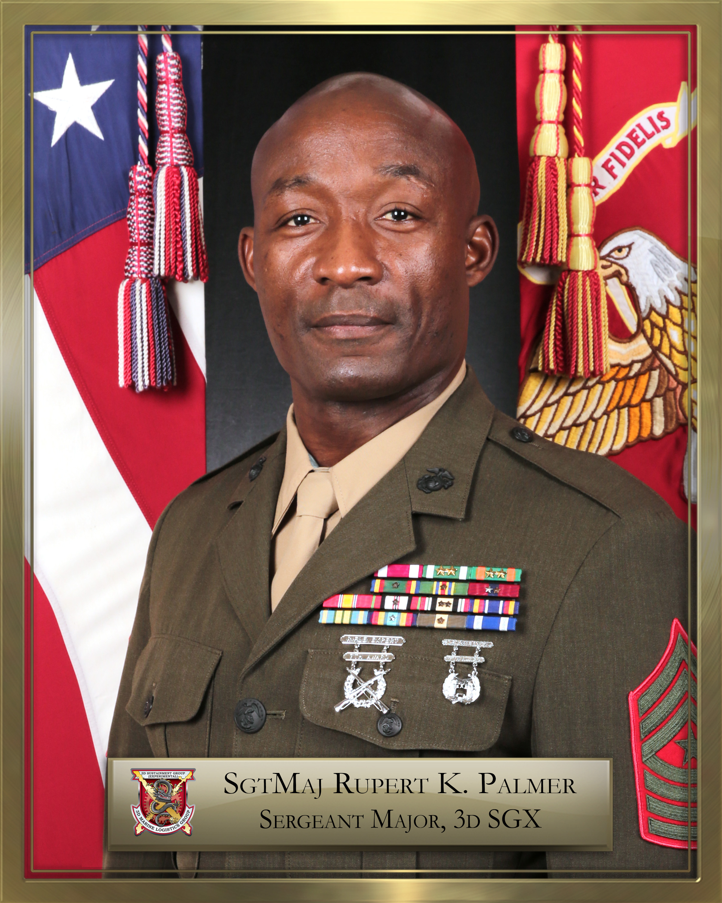 Sergeant Major Rupert K. Palmer > 3d Marine Logistics Group > Leader's bio