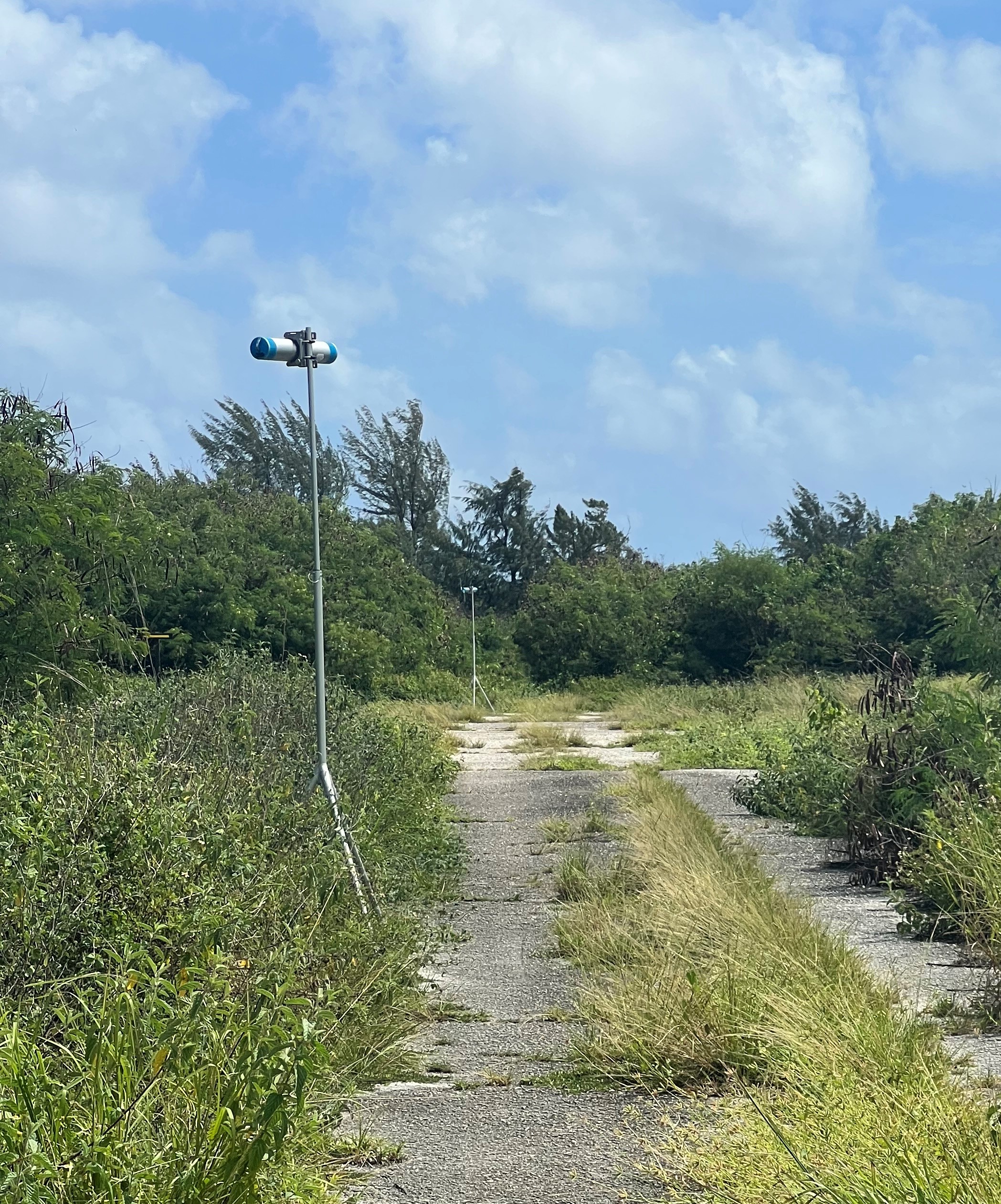 Mission success for experiments in Mobility Guardian 23 > Air Mobility ...