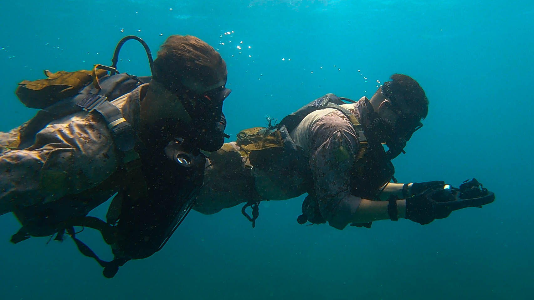 Caribbean Coastal Warrior: Buddy Dives