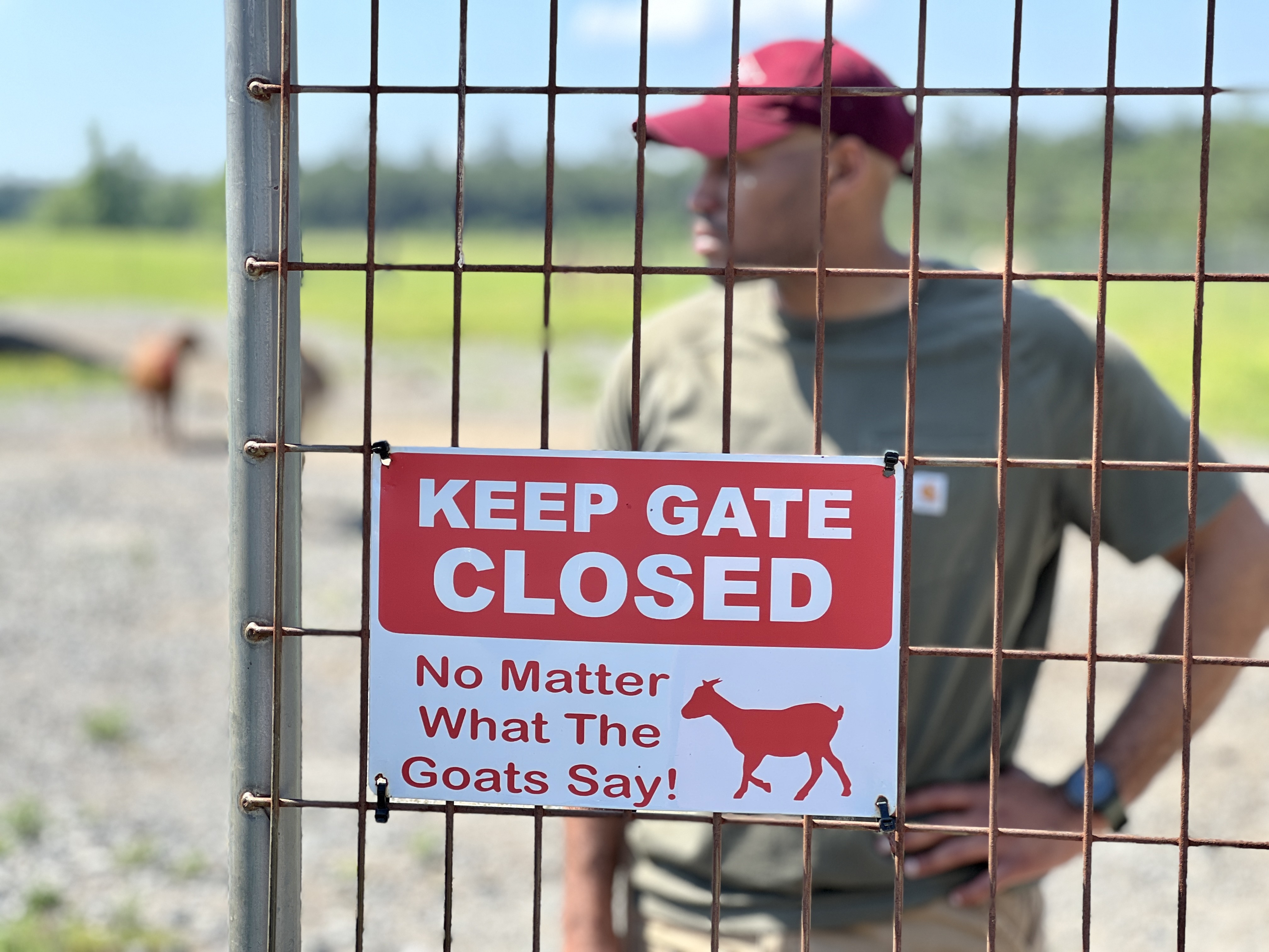 Veterinary Corps vital to Army for 107 years > Bayne-Jones Army ...