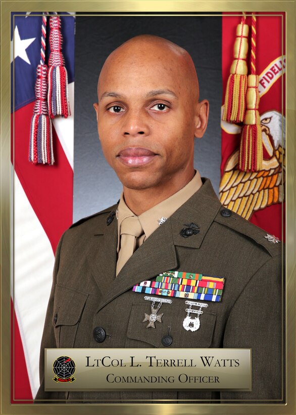MACS-4 CO LtCol Watts