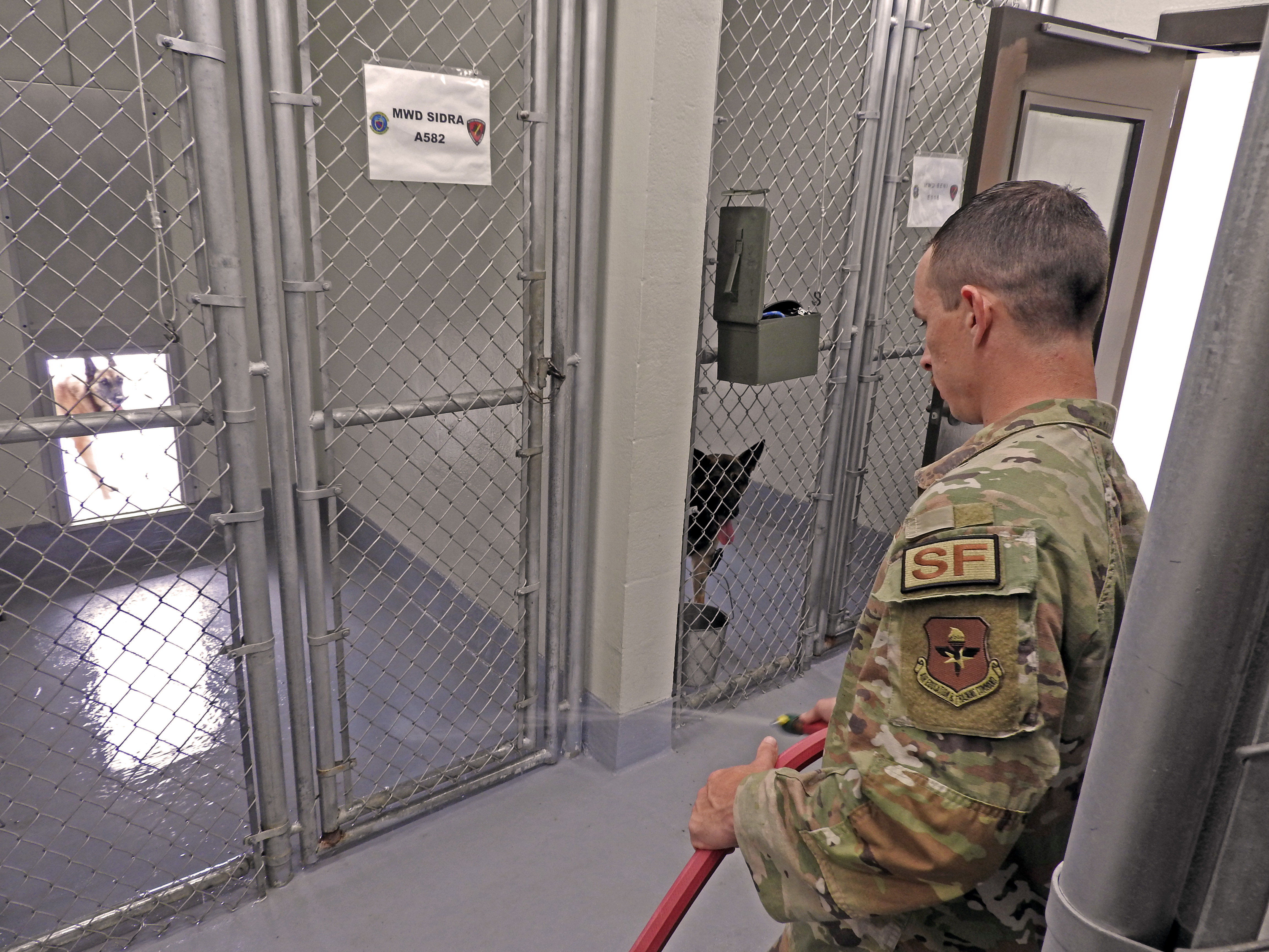 AFSFC tests new tool to streamline MWD kennel projects across DAF ...