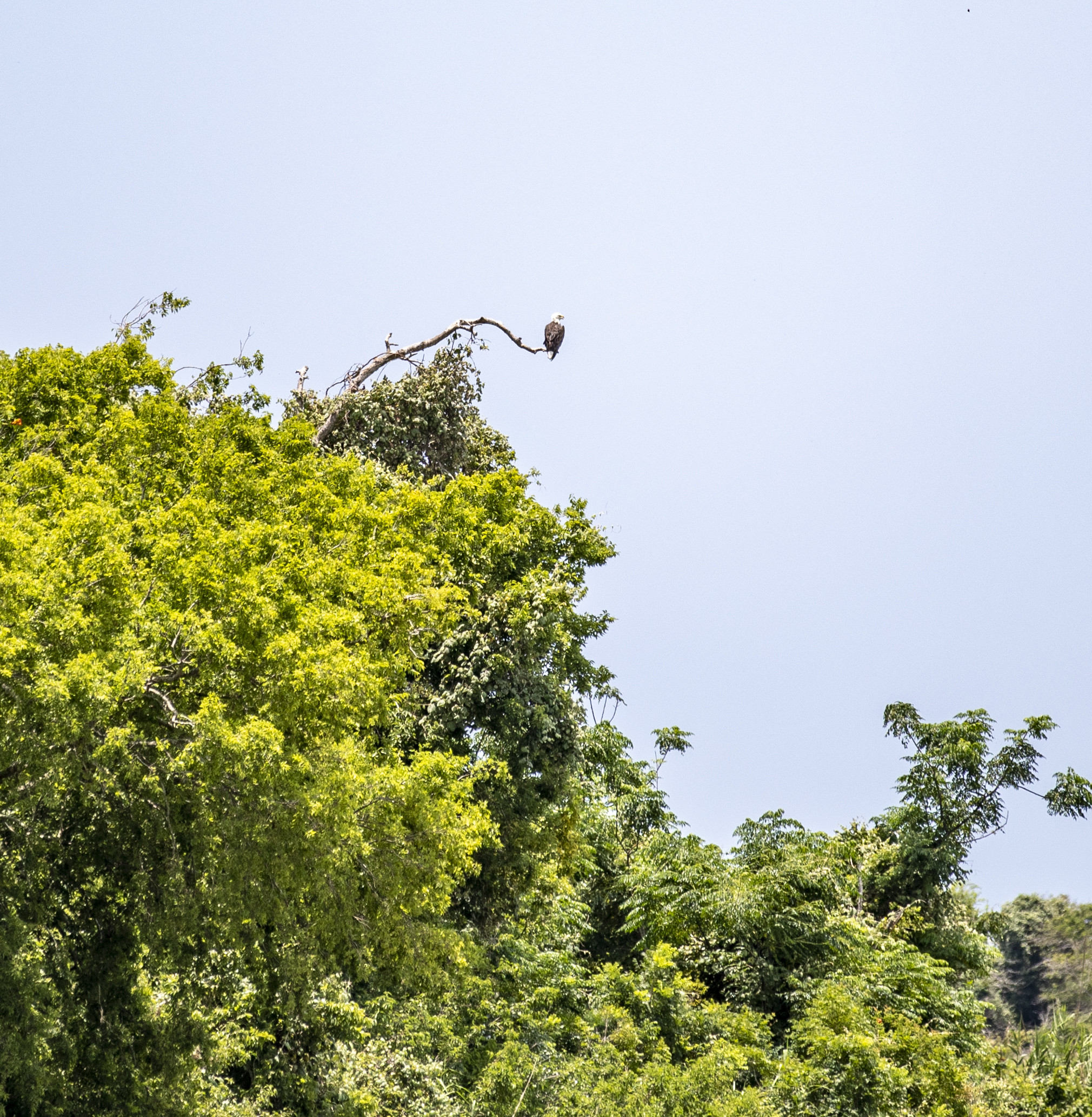 Colorado River Locks Visit