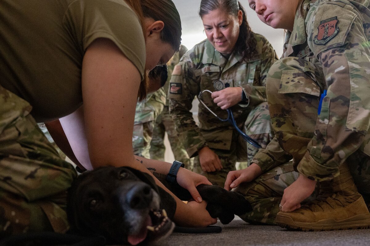 403rd reservists participate in Healthy Tennesseans IRT mission > 403rd ...