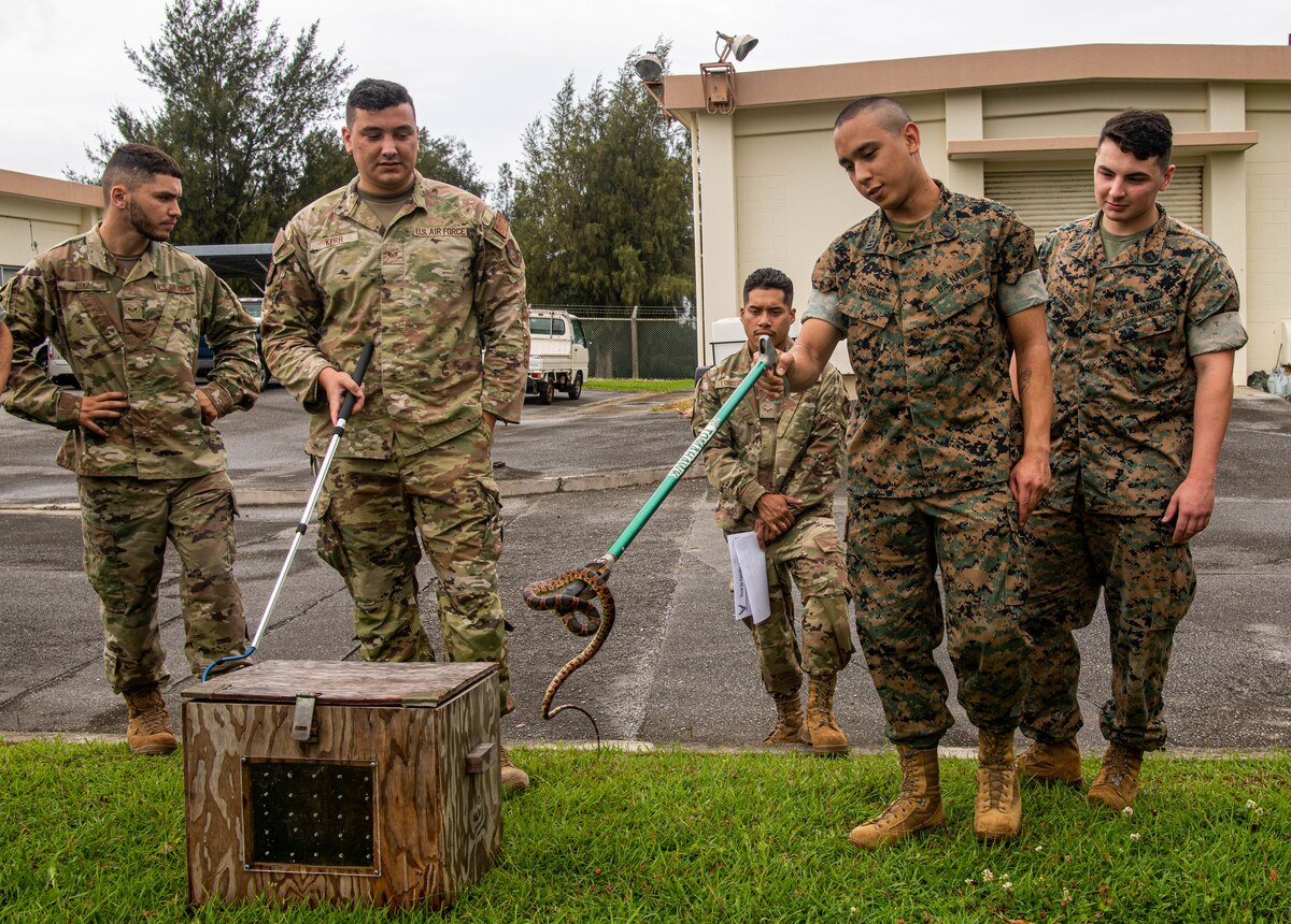 18th CES, 3DMEDBN conduct snake handling SMEE > Kadena Air Base > News