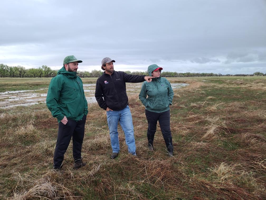 Colorado Mitigation Procedures, Stream Quantification Tool, mitigation ...