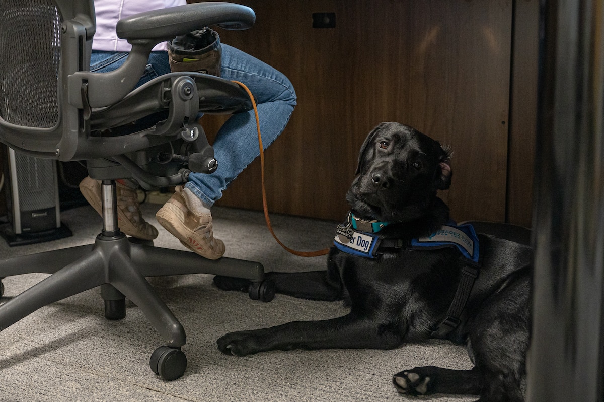 SLD 45 risk analyst embraces a dual role: ensuring public safety while ...