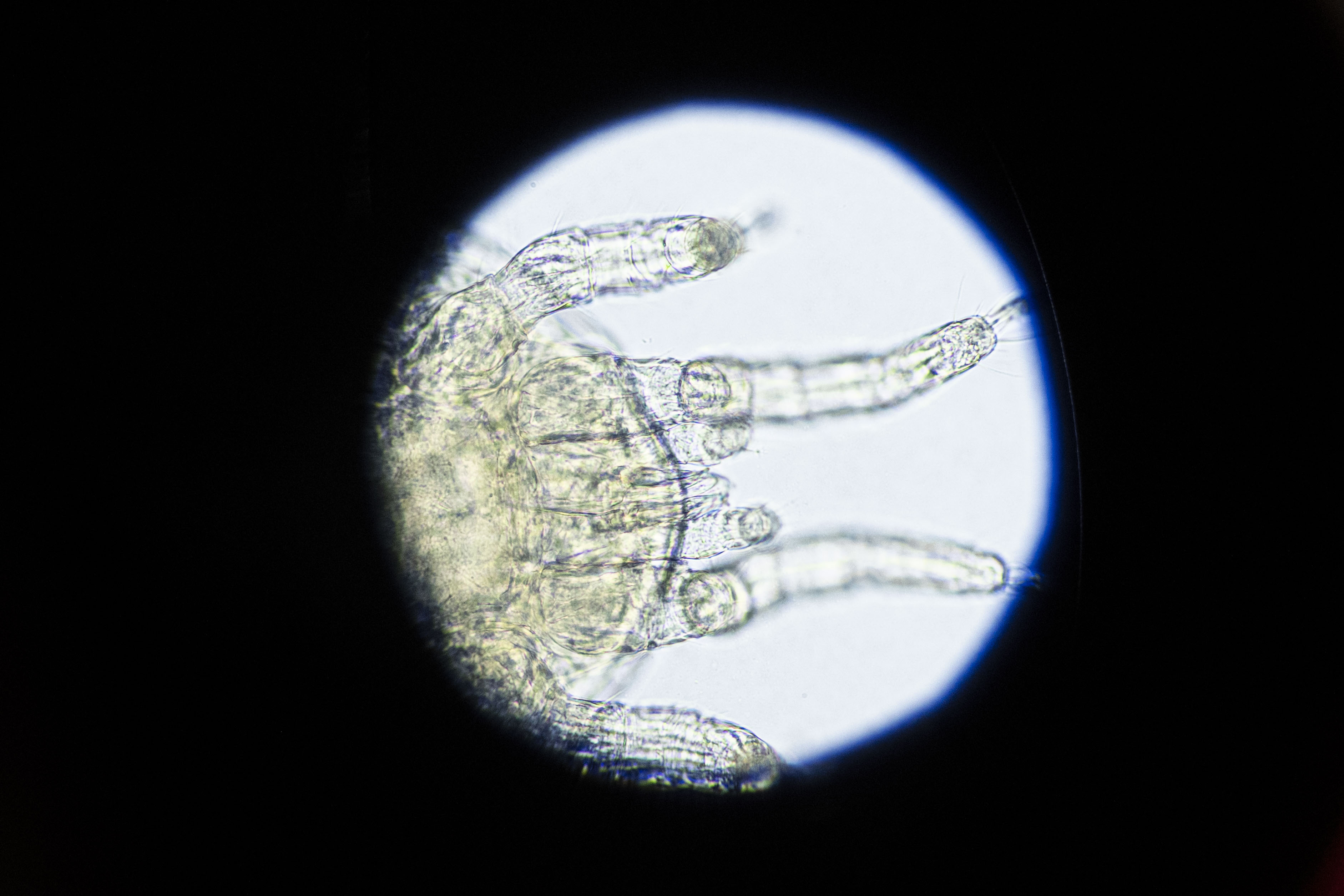 Bug Training > Medical Education and Training Campus > News Display