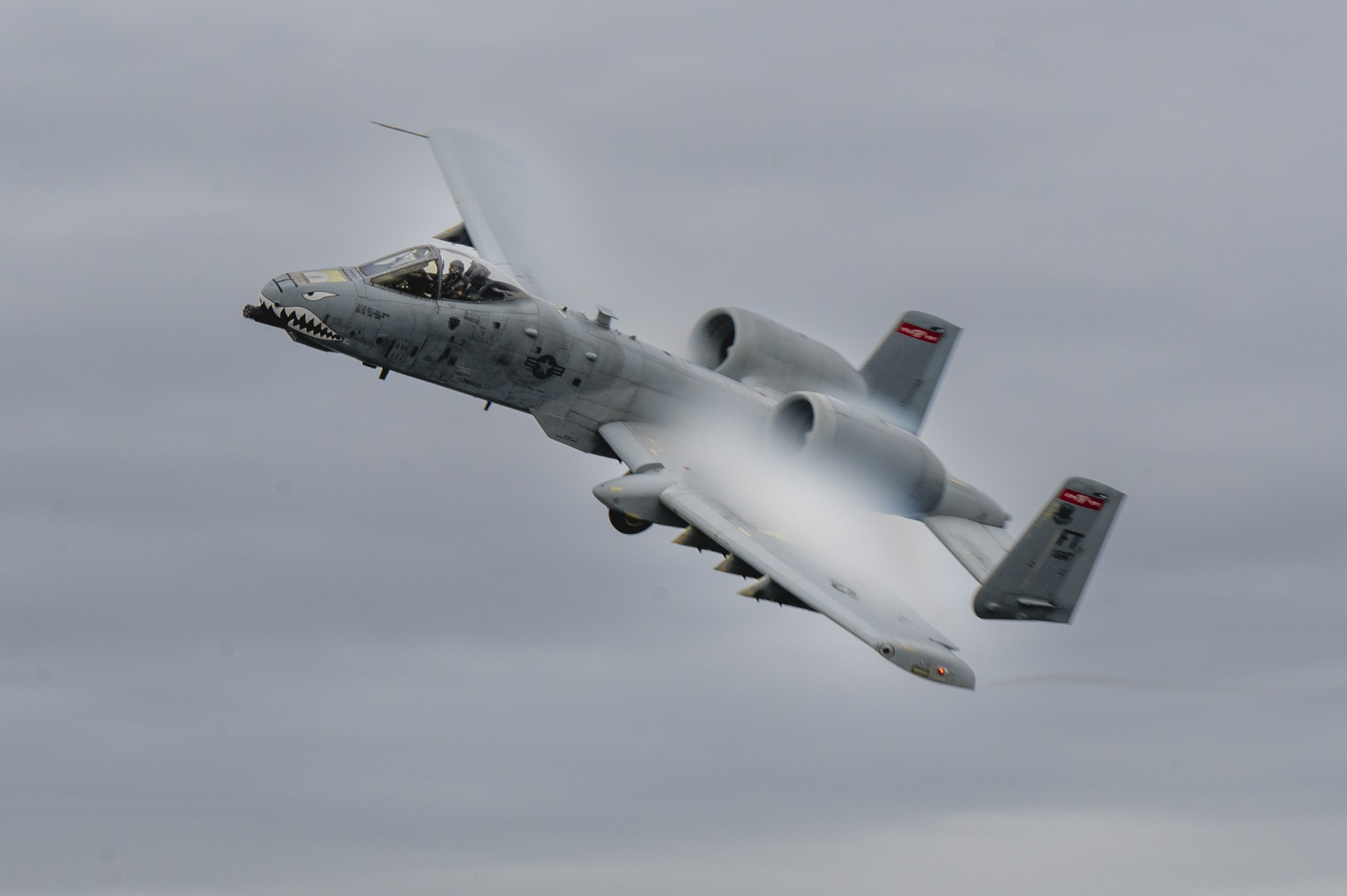 EX ABUV brings XCOMM, interoperability to Canada > Air Combat Command ...