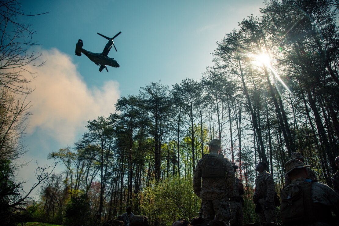 Marines.mil - Official website of the United States Marine Corps