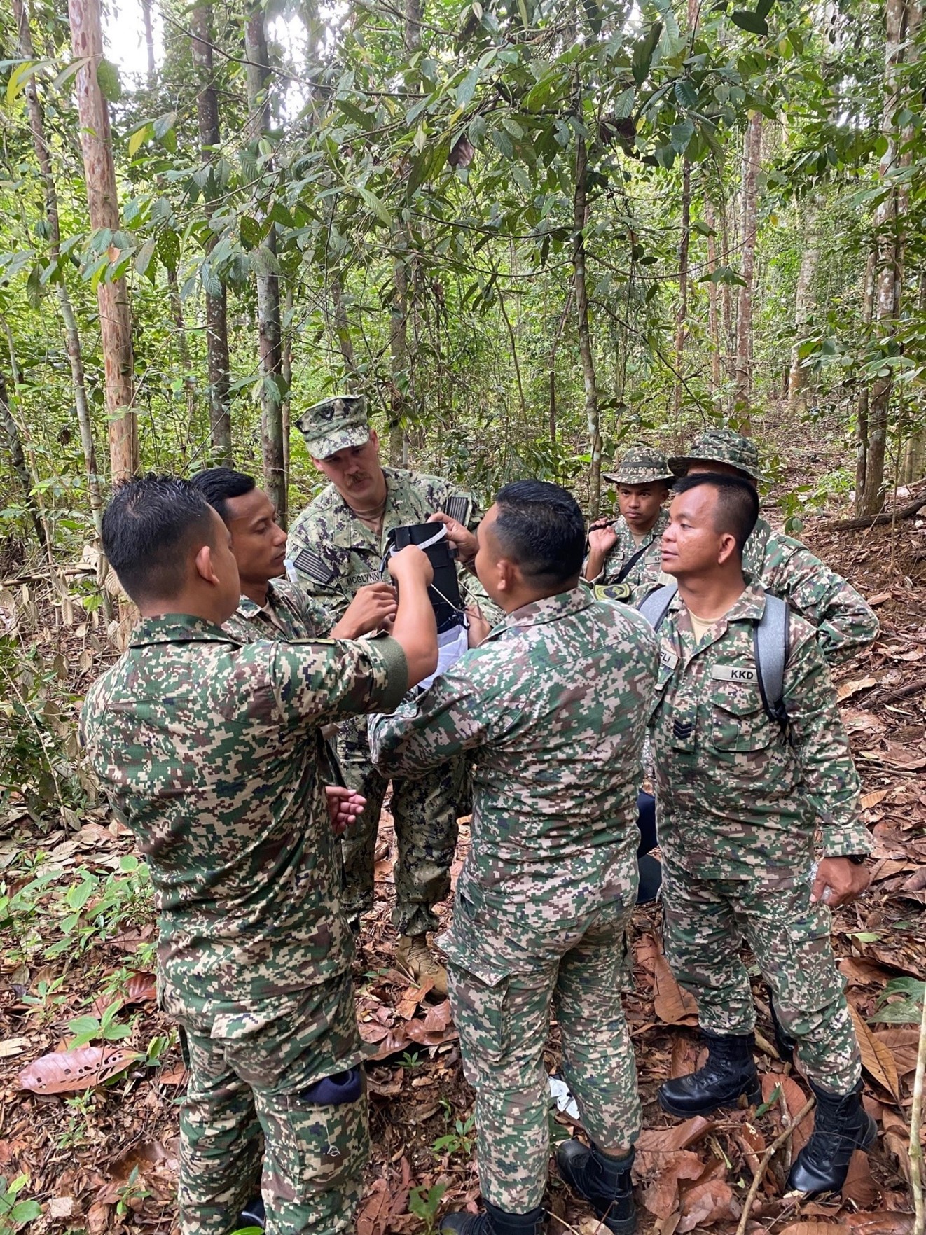 NECE Entomologist Augments Warfighter Research Across INDOPACOM > Navy ...