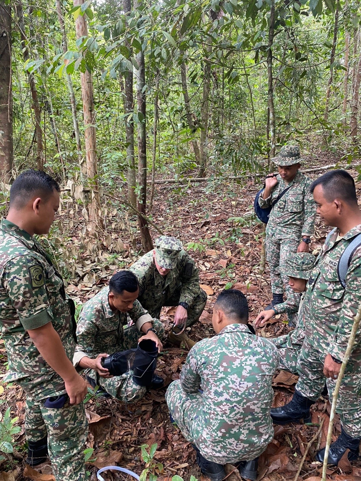 NECE Entomologist Augments Warfighter Research Across INDOPACOM > Navy ...