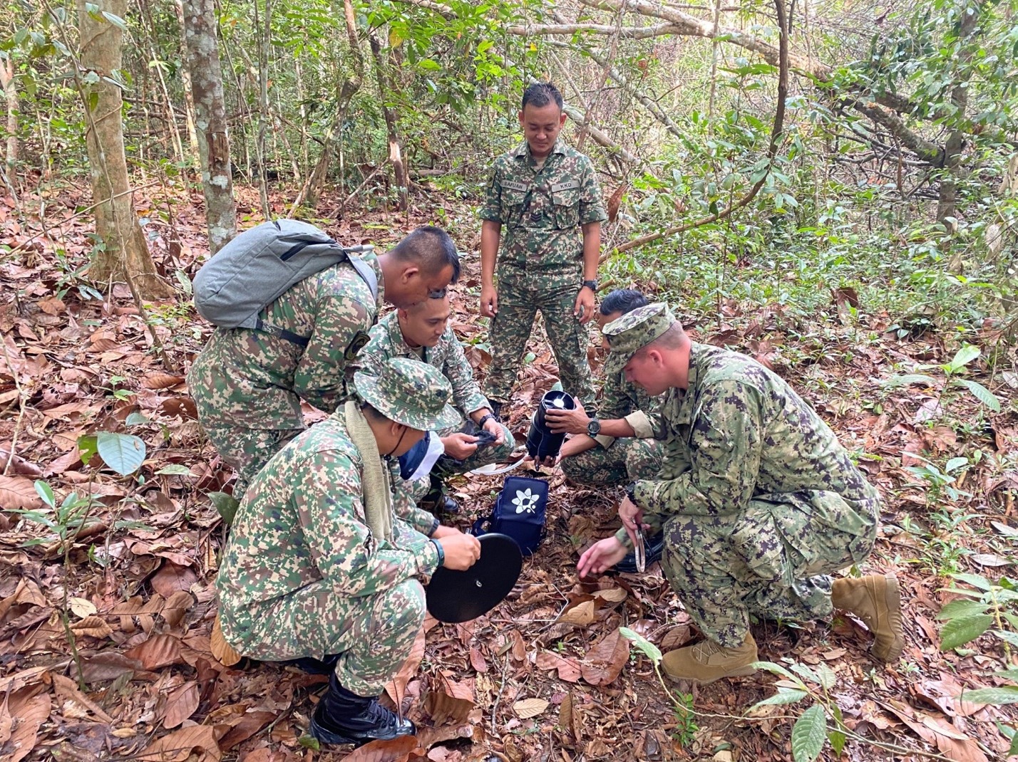 NECE Entomologist Augments Warfighter Research Across INDOPACOM > Navy ...