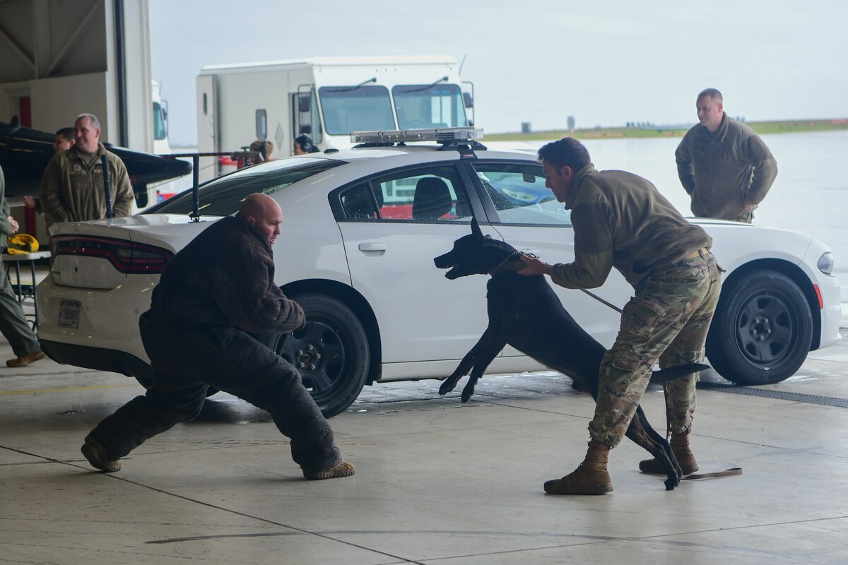 Honorary Commander Program > Beale Air Force Base > Article Display