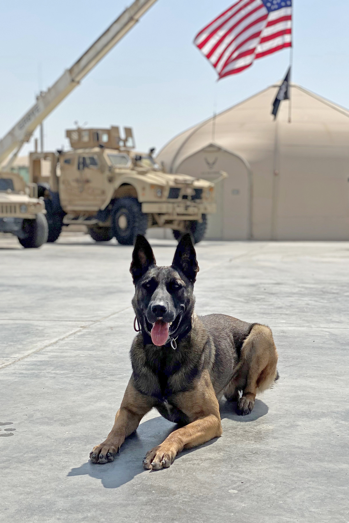 75th SFS MWD and handler bond on first deployment > Hill Air Force Base ...