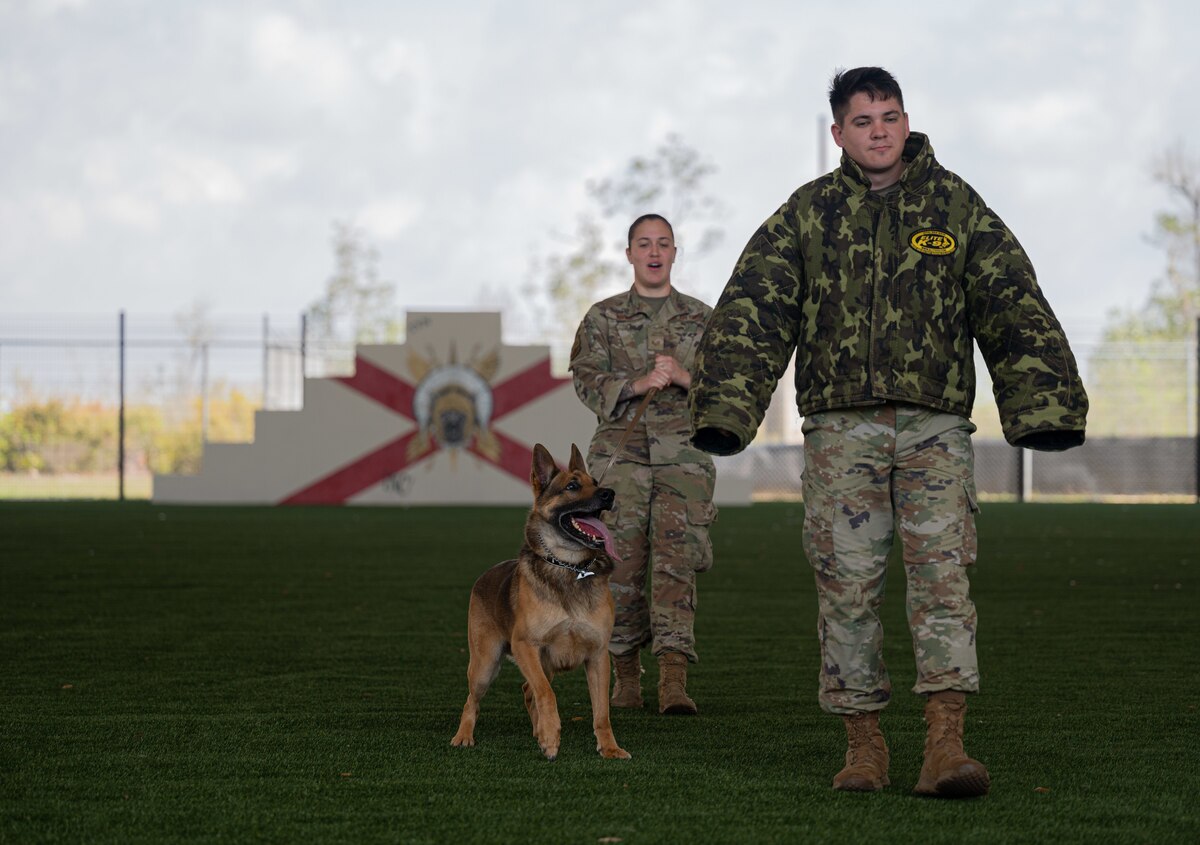 Honoring Tyndall's furry veterans > Air Force Security Forces Center ...