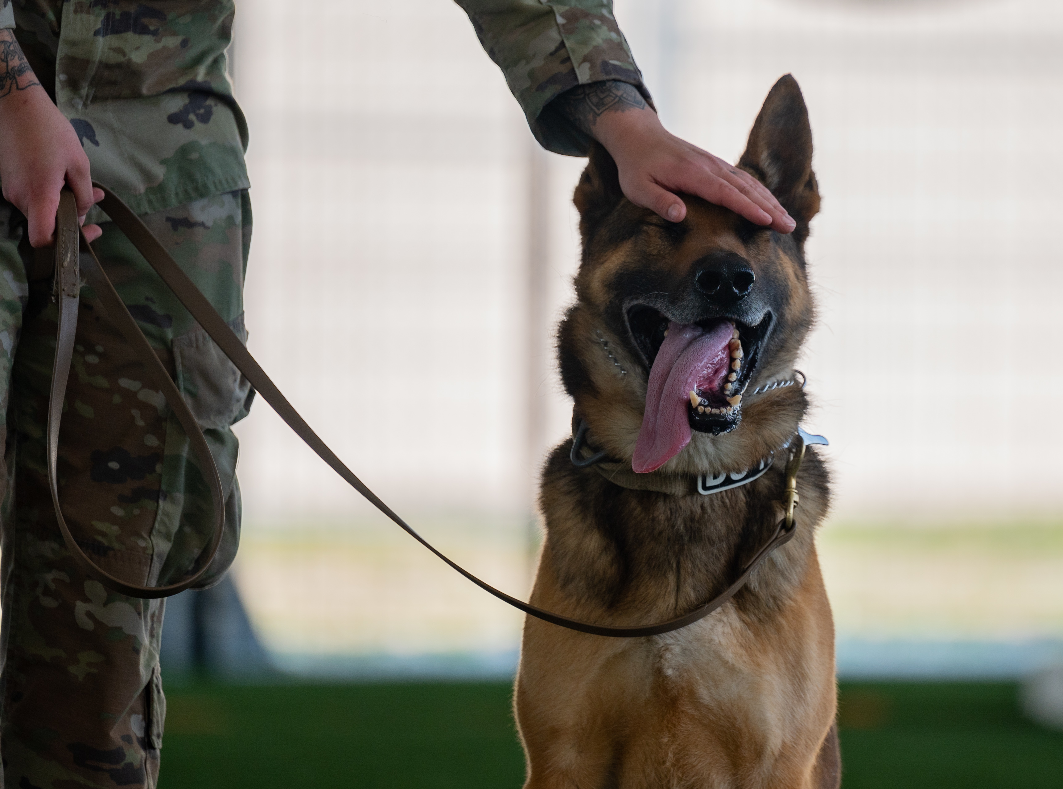 AF Week in Photos > Air Force > Article Display