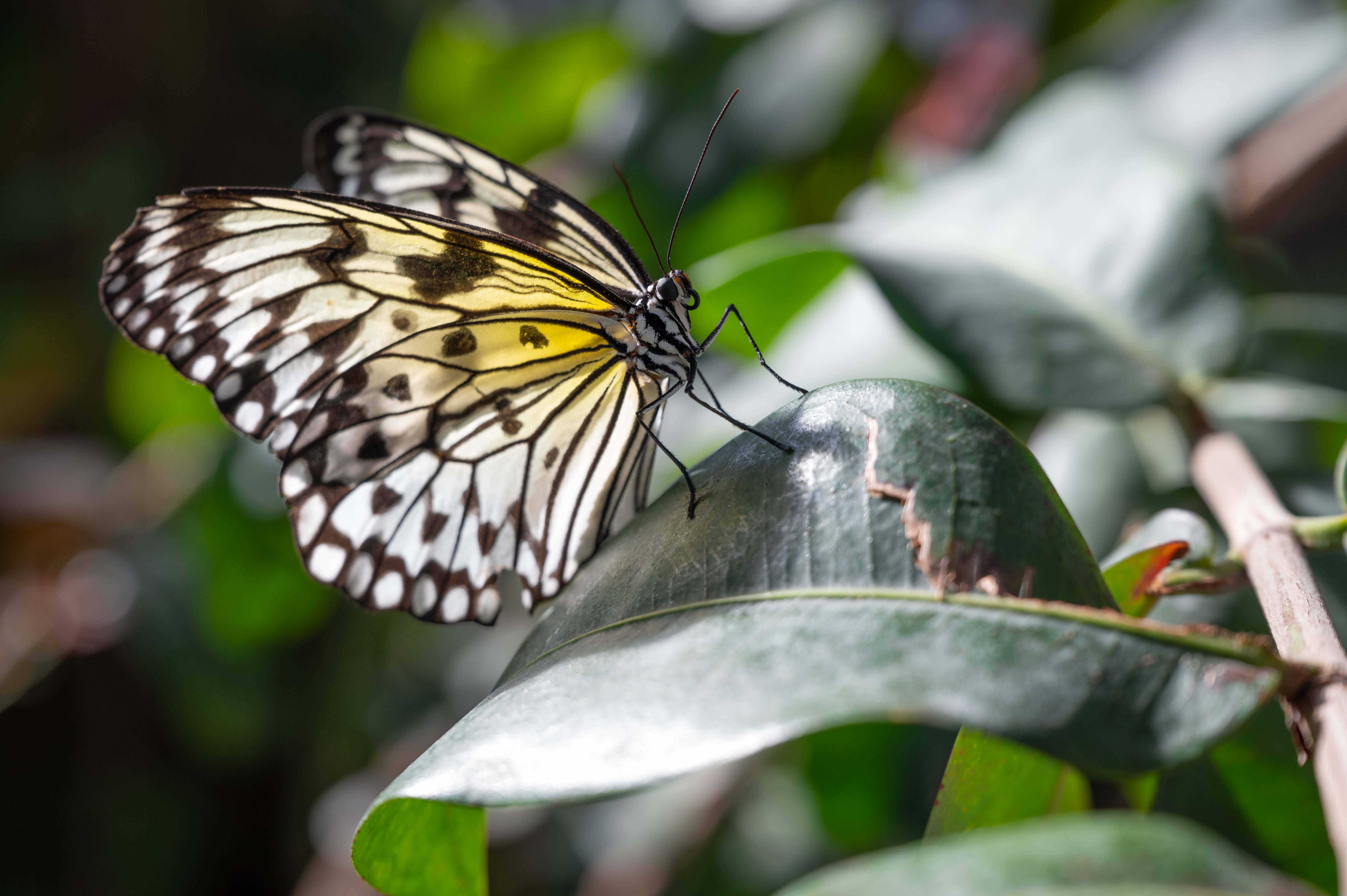 Wyoming Wanderers: An Outdoor Rec-venture > F.E. Warren Air Force Base ...