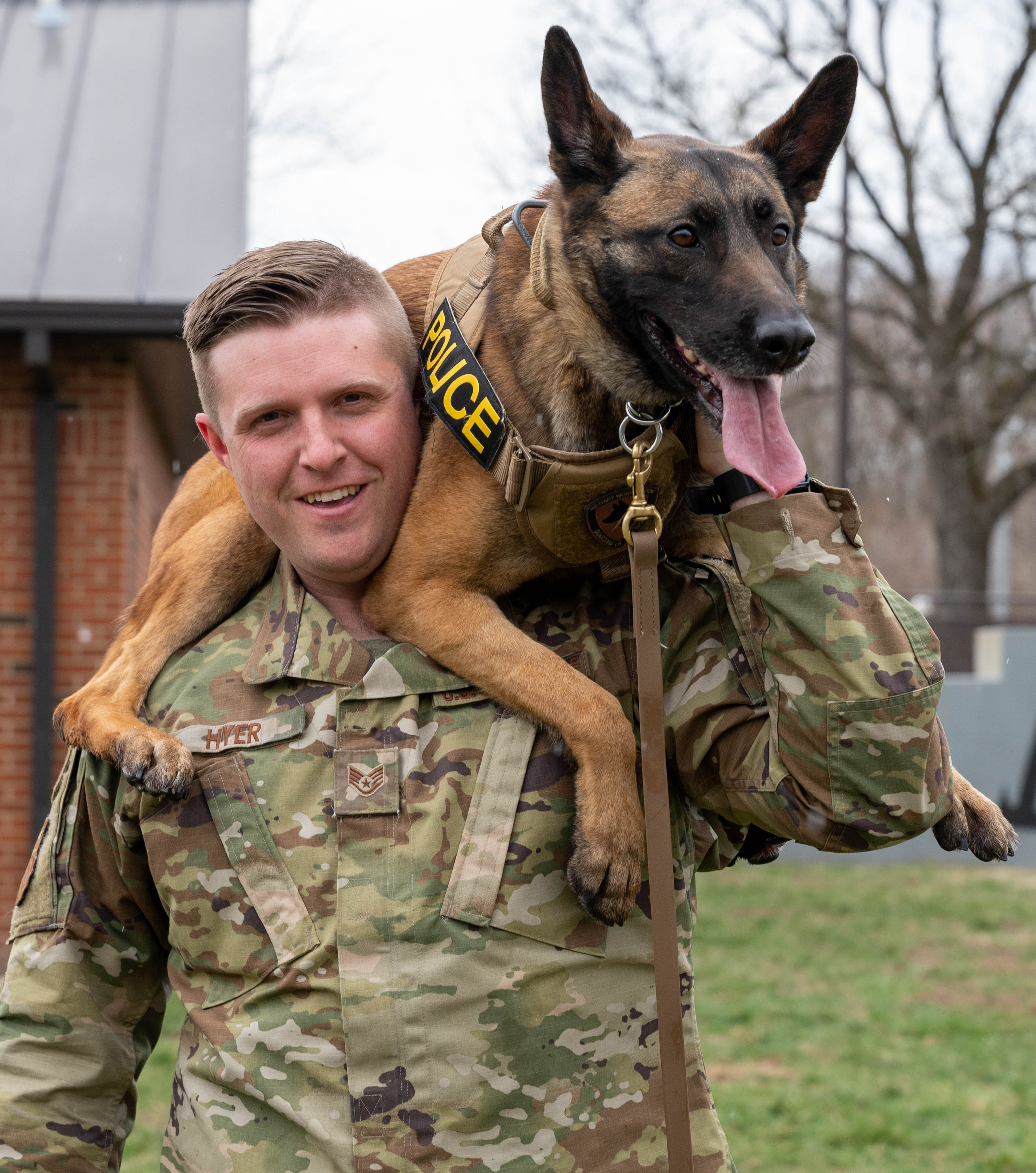 Military Working Dog appreciation