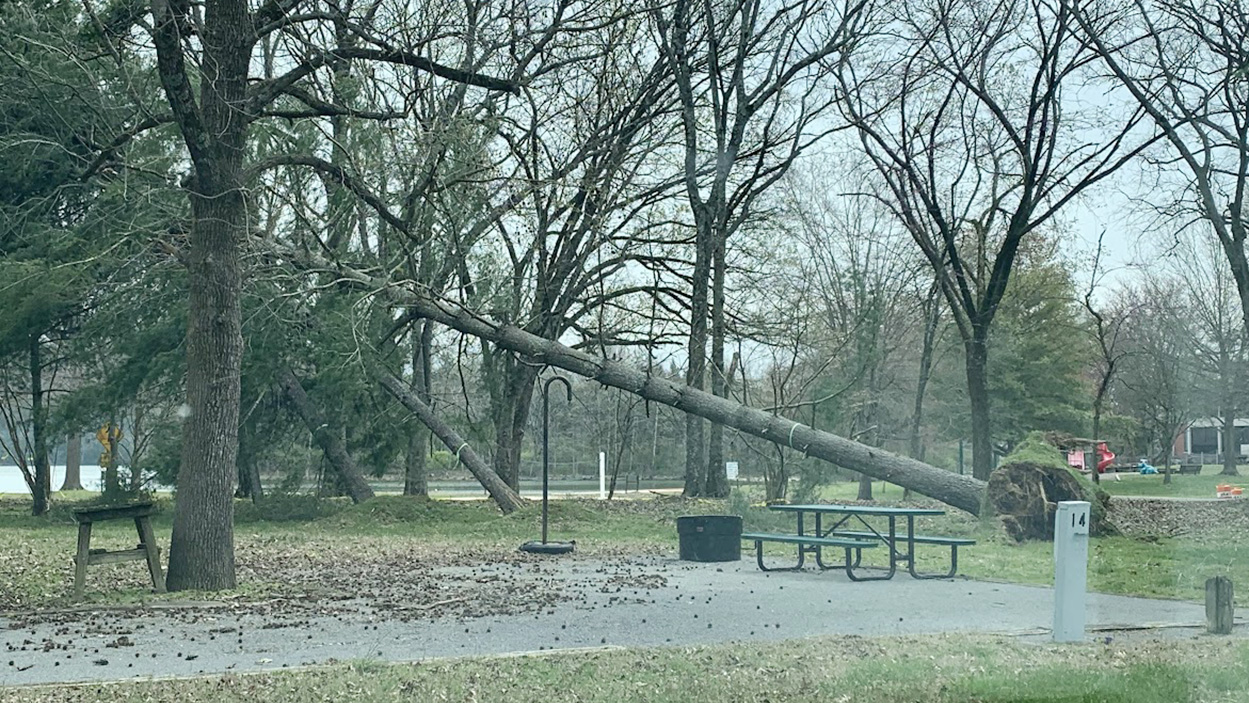 Old Hickory Lake clearing storm debris as campgrounds reopen > Great ...